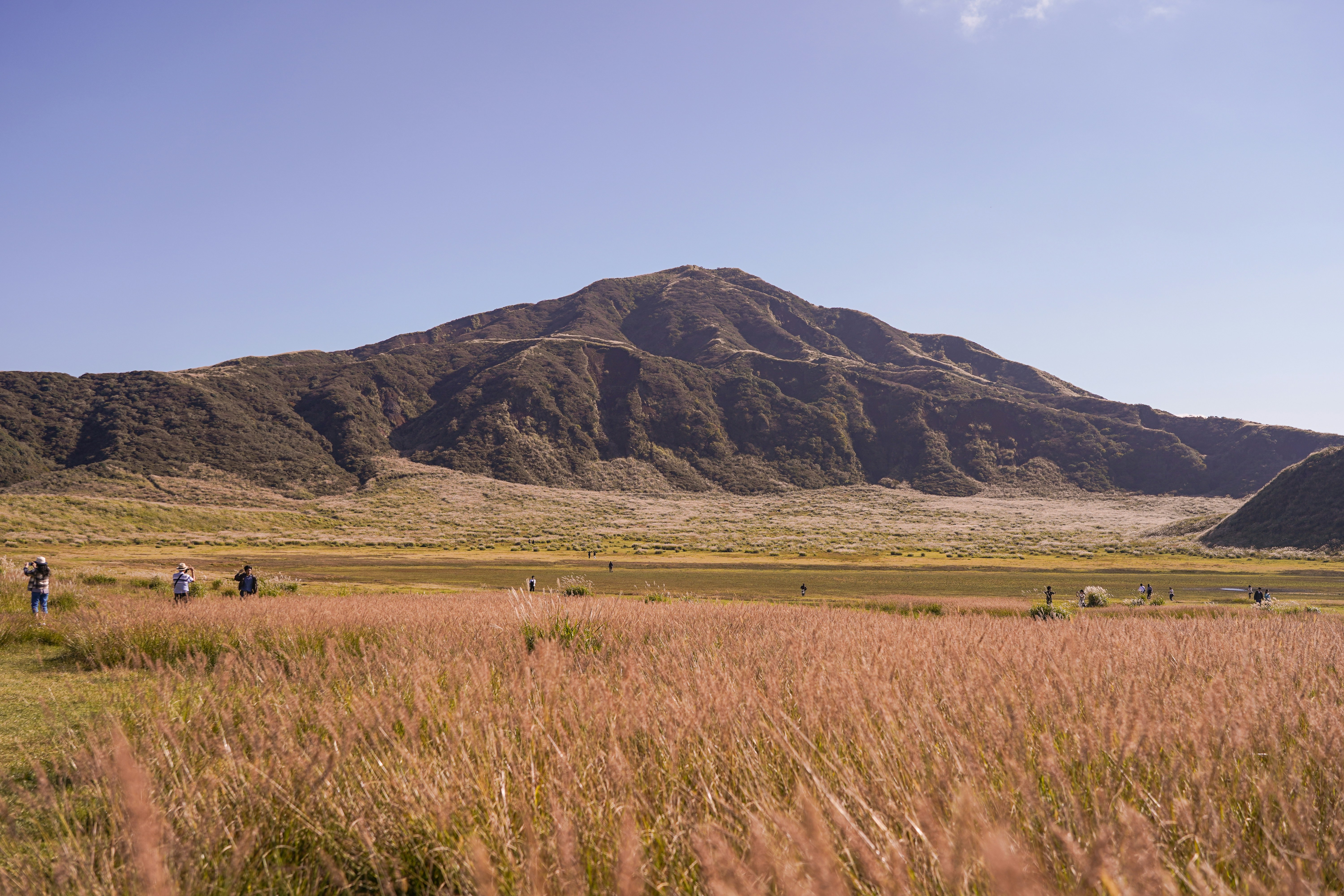 Desert meadow under a calm blue sky with distant volcanic hills