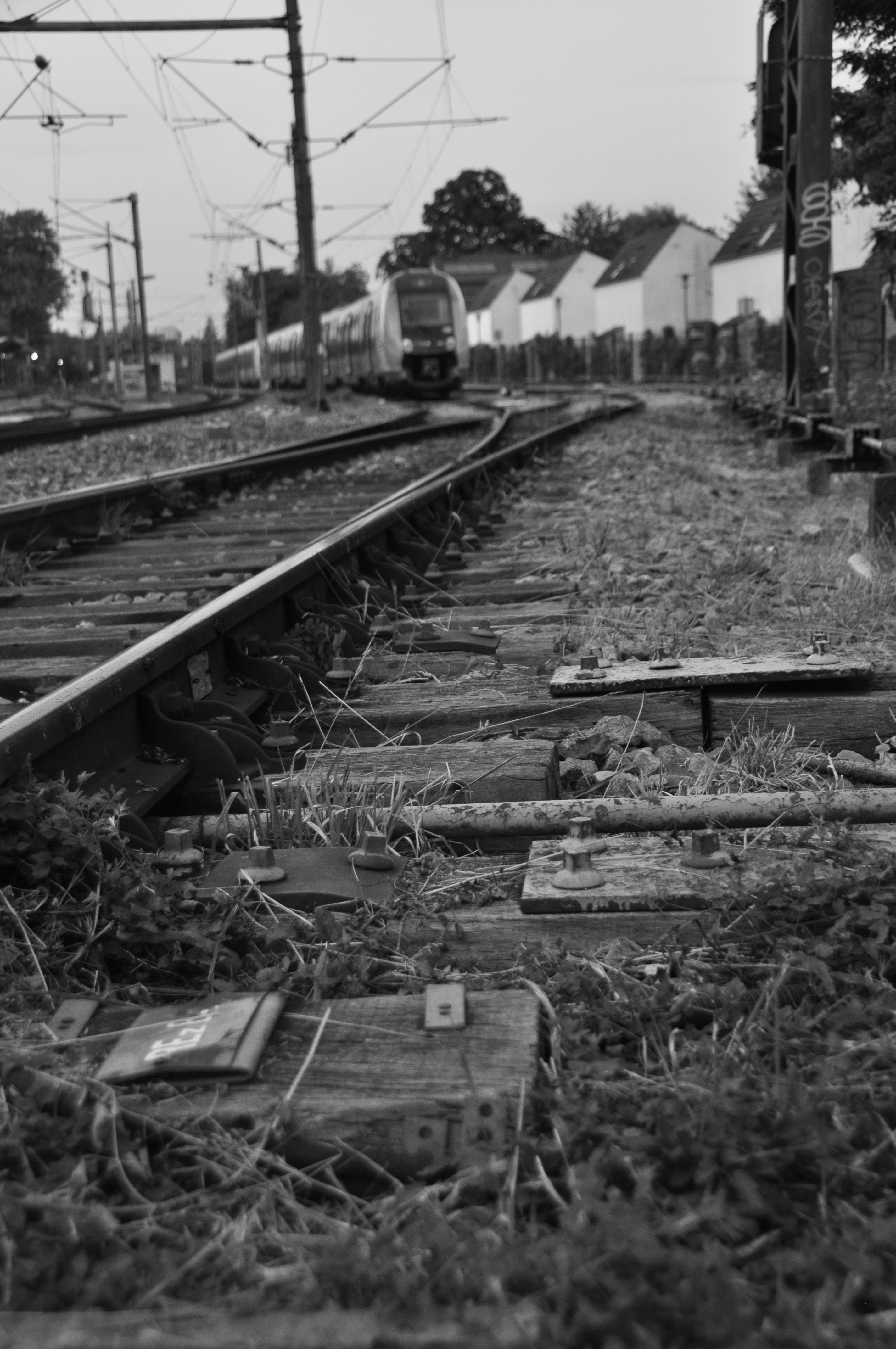 Tracks to the Horizon: A Quiet Moment Beneath the Overhead Wires