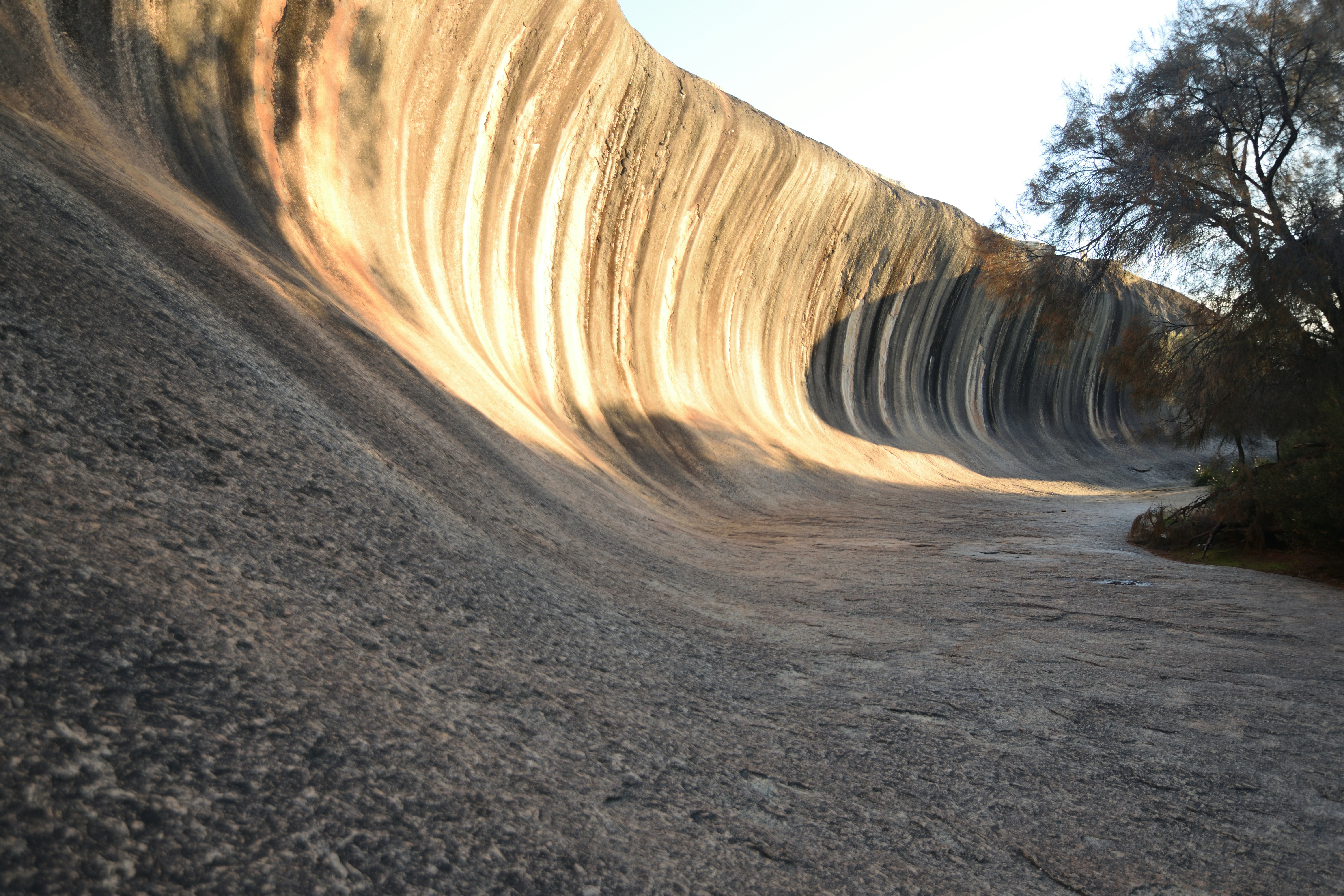 Curved Canyon of Light: Striated Rock Ribbon Illuminated at Dusk
