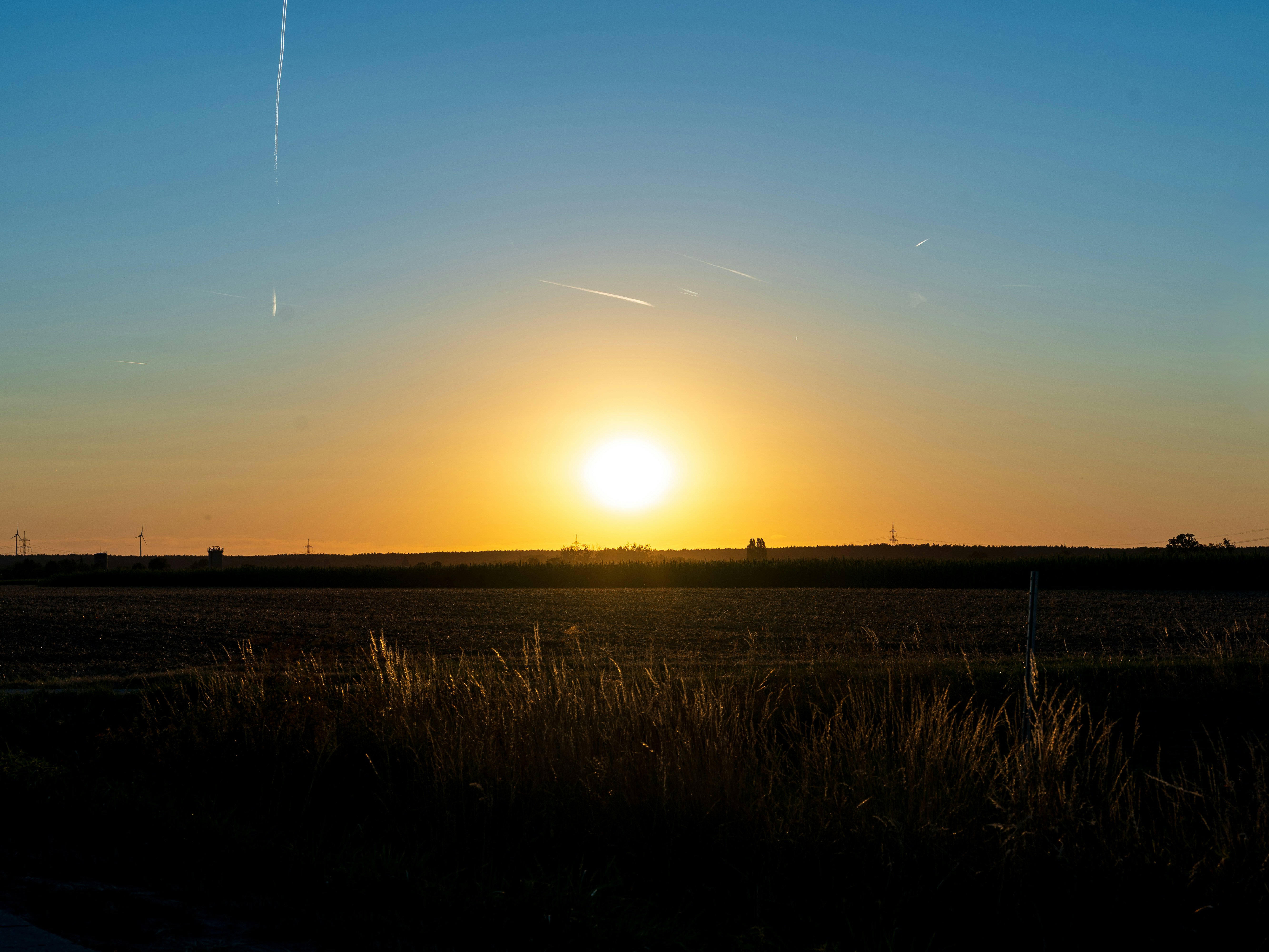 Sunlit Horizon: Quiet Prairie at Dusk