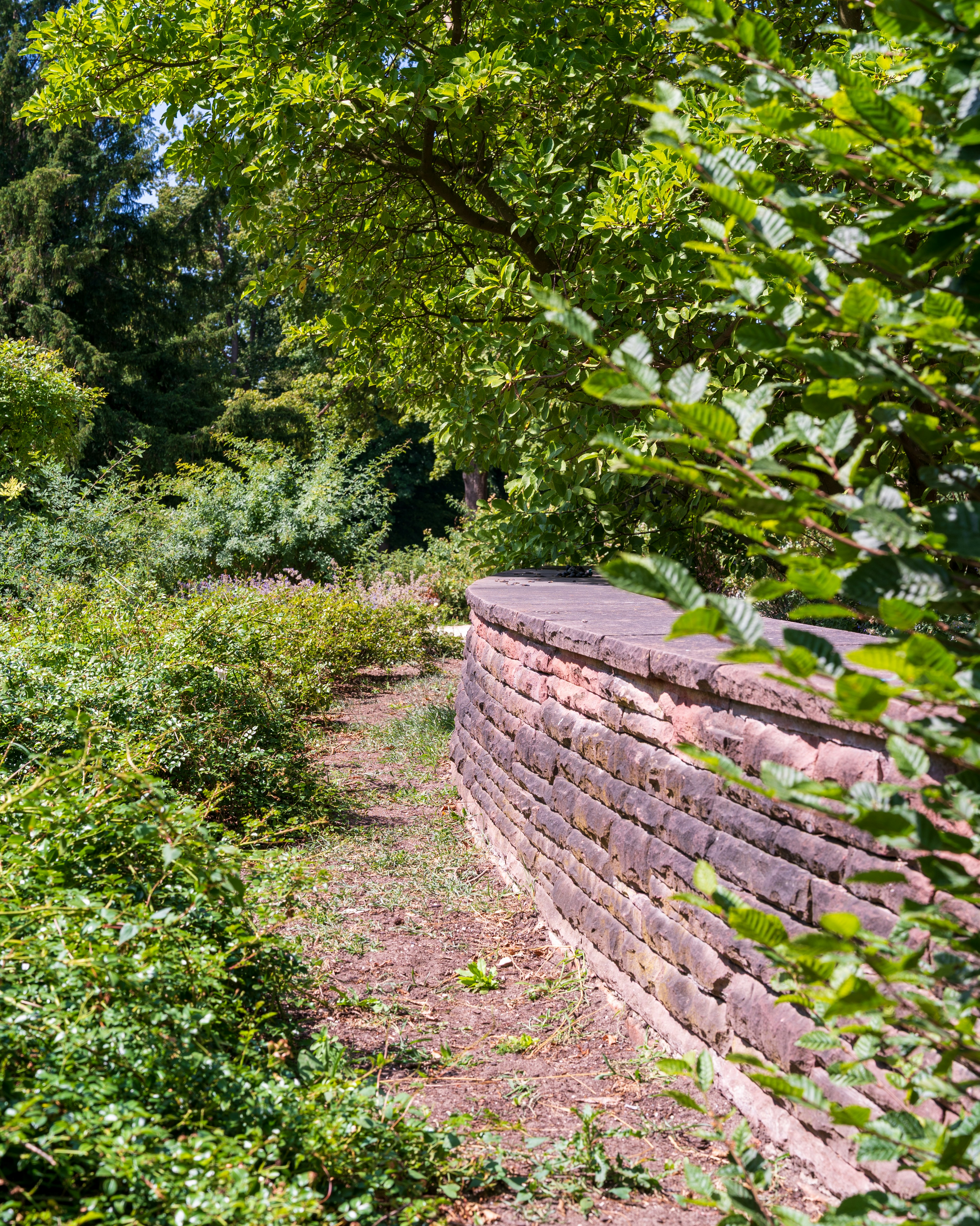 Brick Terrace in a Sunlit Park Surrounded by Greenery