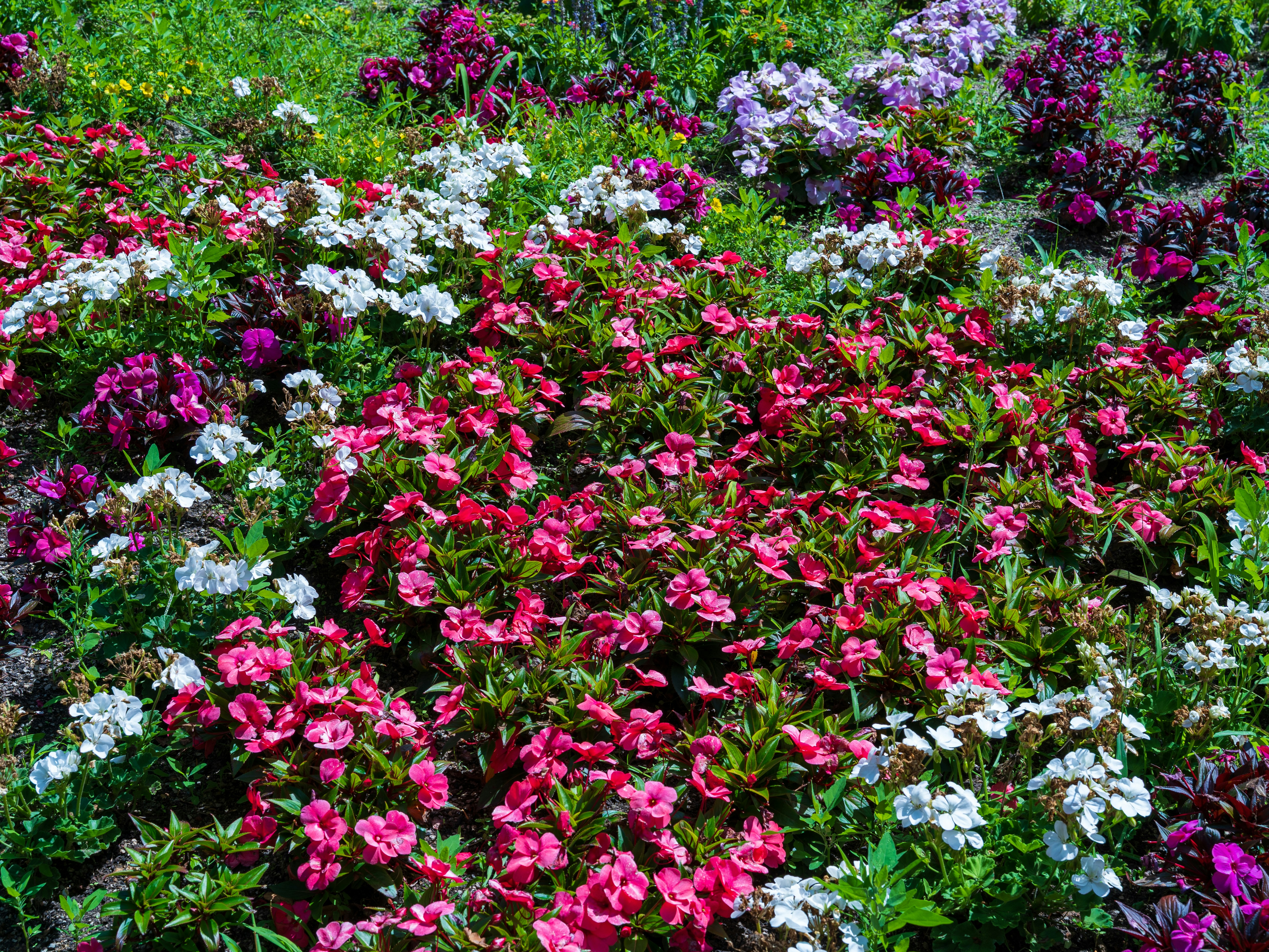 Vibrant Garden Mosaic: A Closer Look at Carved Petals
