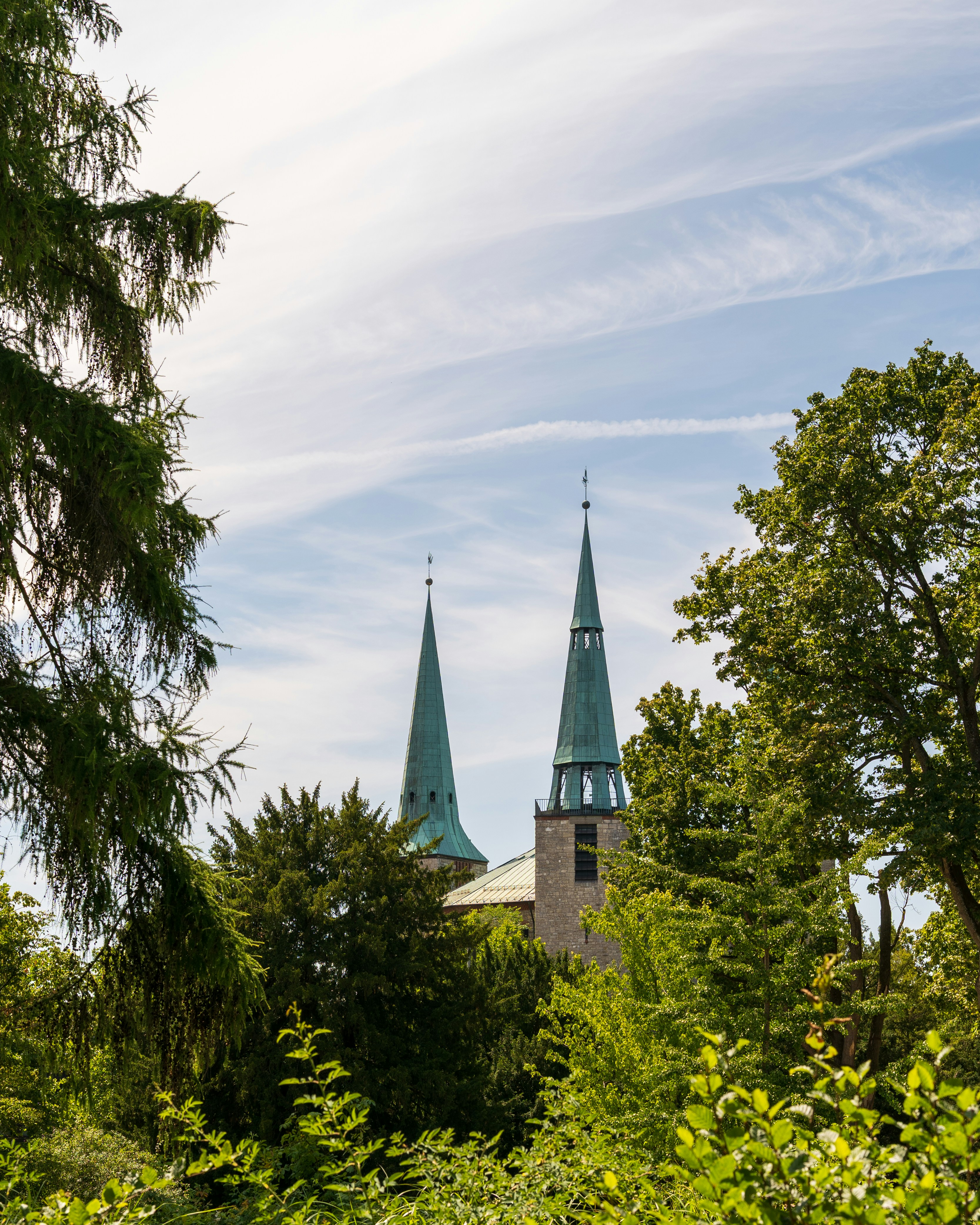 Twin Spires Rise Above Green Canopy in Sunlit Park