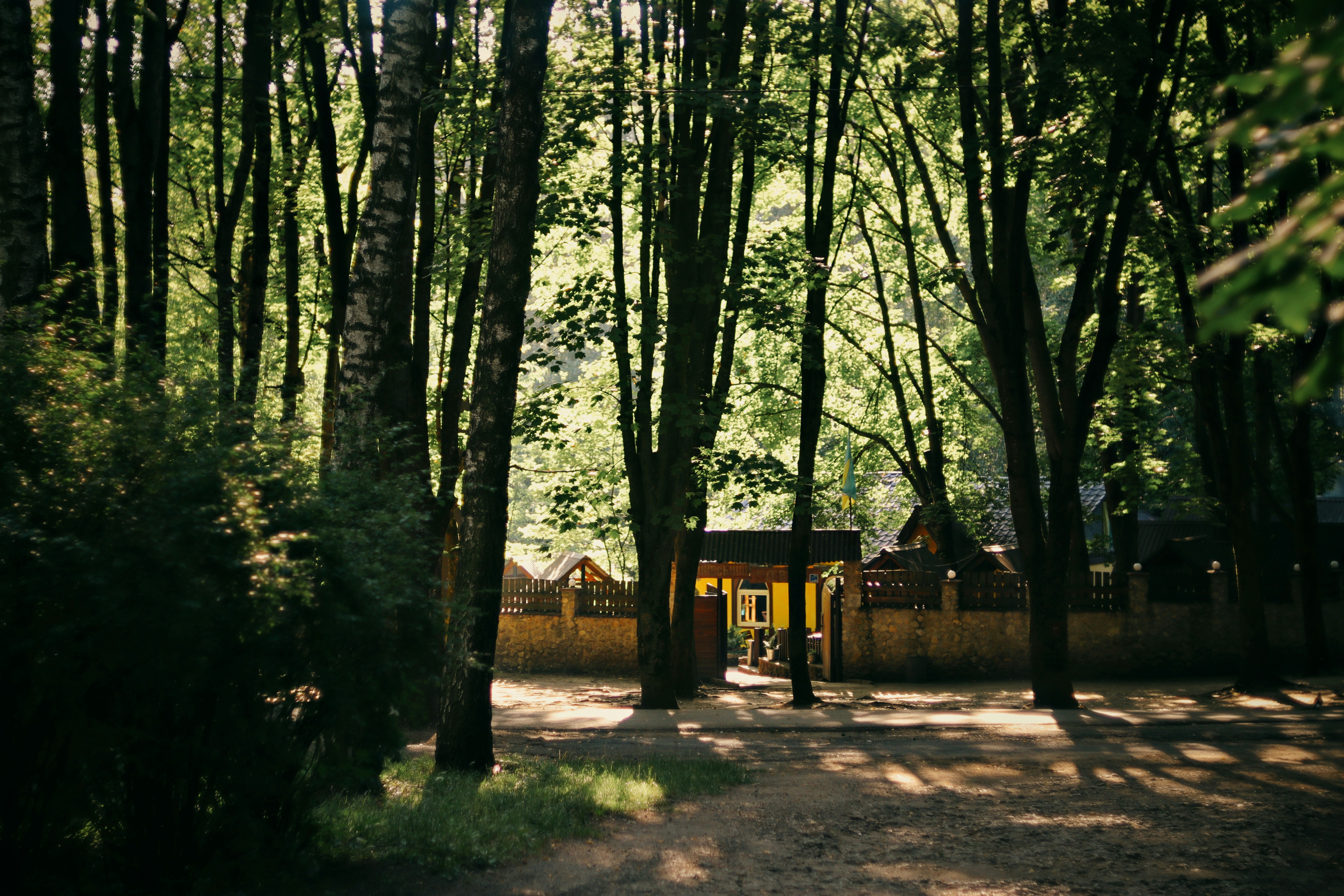 Beautiful nature and lifestyle photography showcasing a secluded resort or village hidden among tall trees. The image captures bright sunlight filtering through the lush canopy, casting long dramatic shadows on the dirt ground in the foreground, highlighting a stone wall, a wooden gate, and small country houses behind the trees.