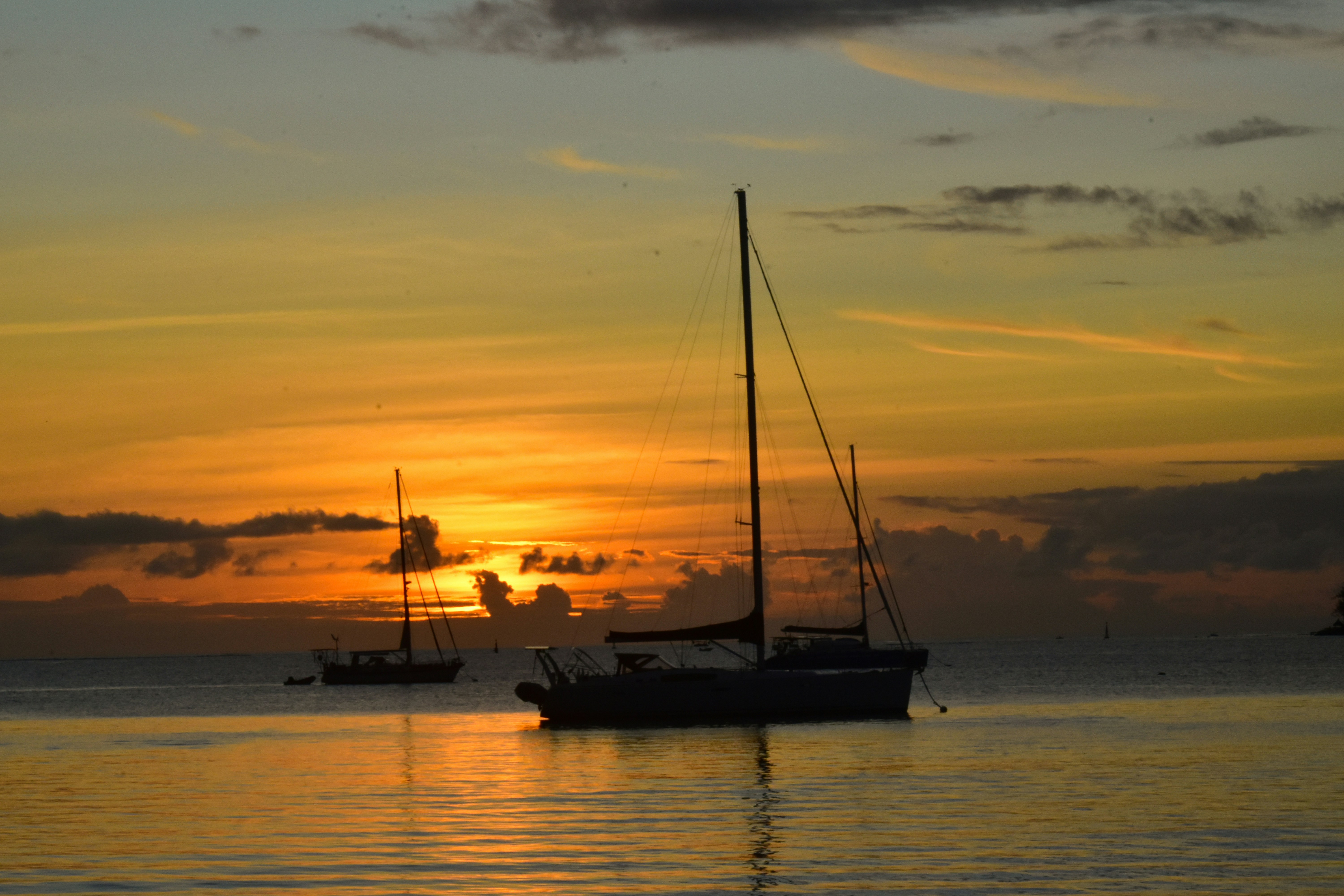 Silhouetted sailboats float on calm water during a golden sunset, with warm hues reflecting on the surface.