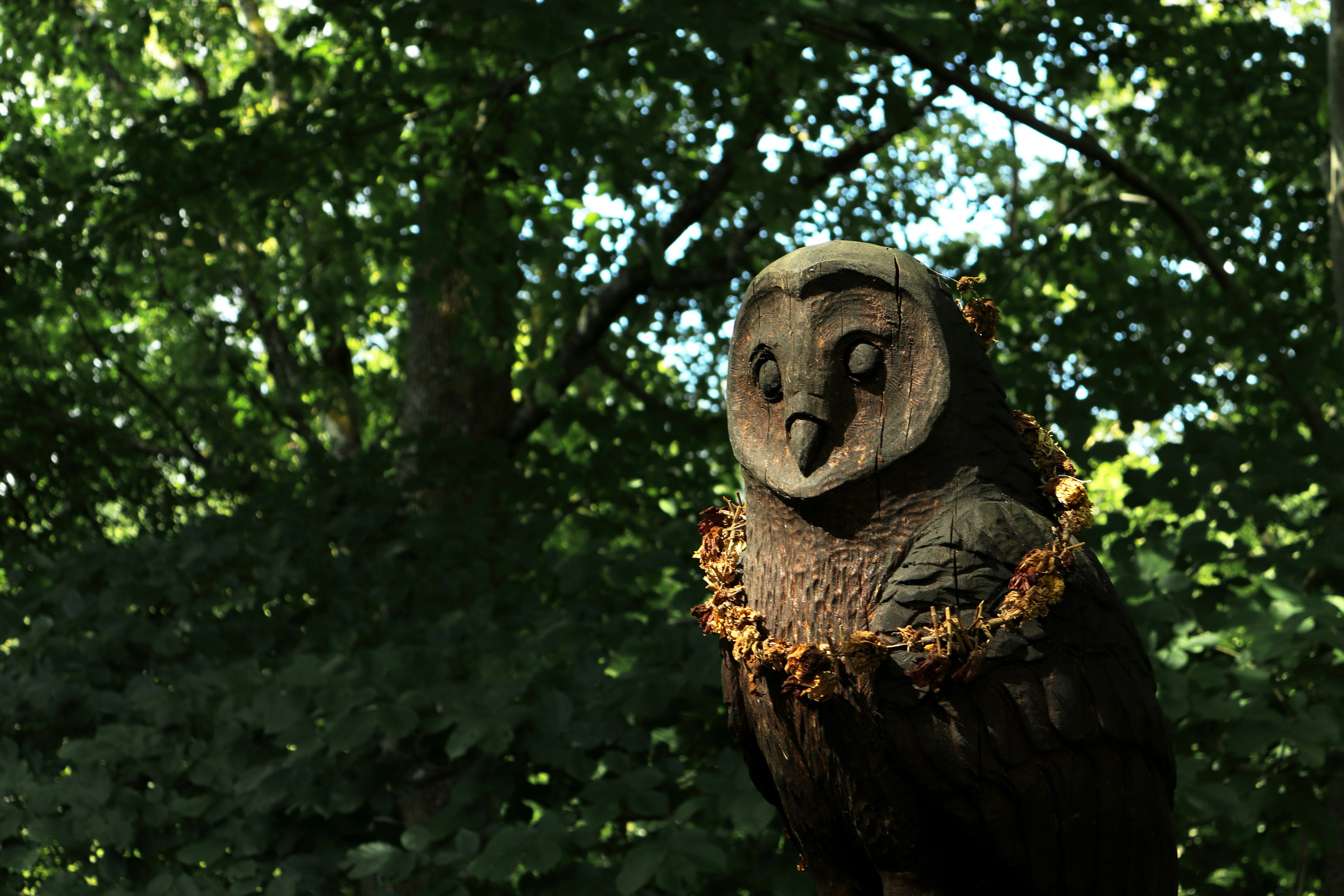 Silent Guardian: An Owl Stone Carved in Moonlit Forest