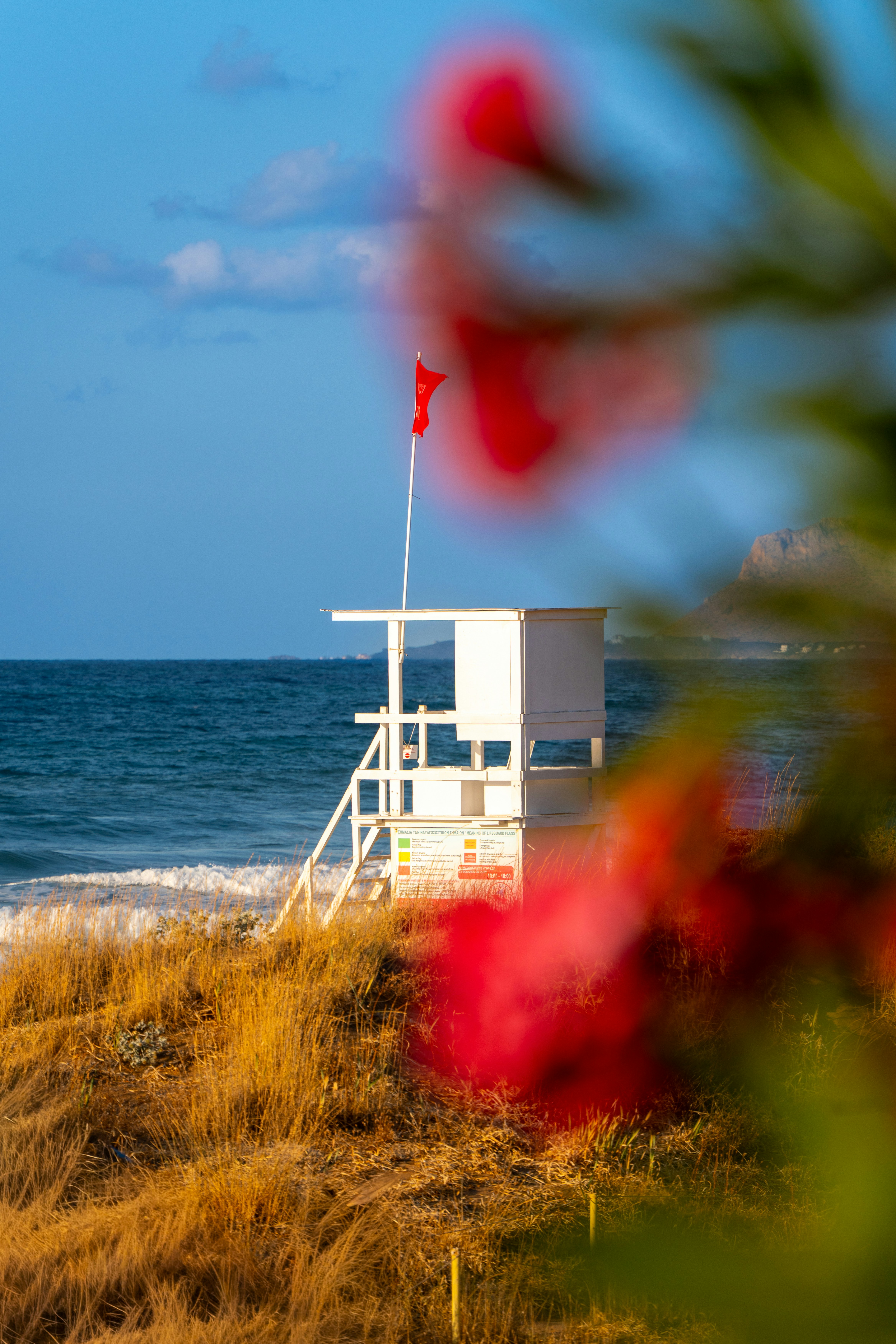 Lifeguard Tower on a Sunlit Shore, Framed by Blurred Foliage