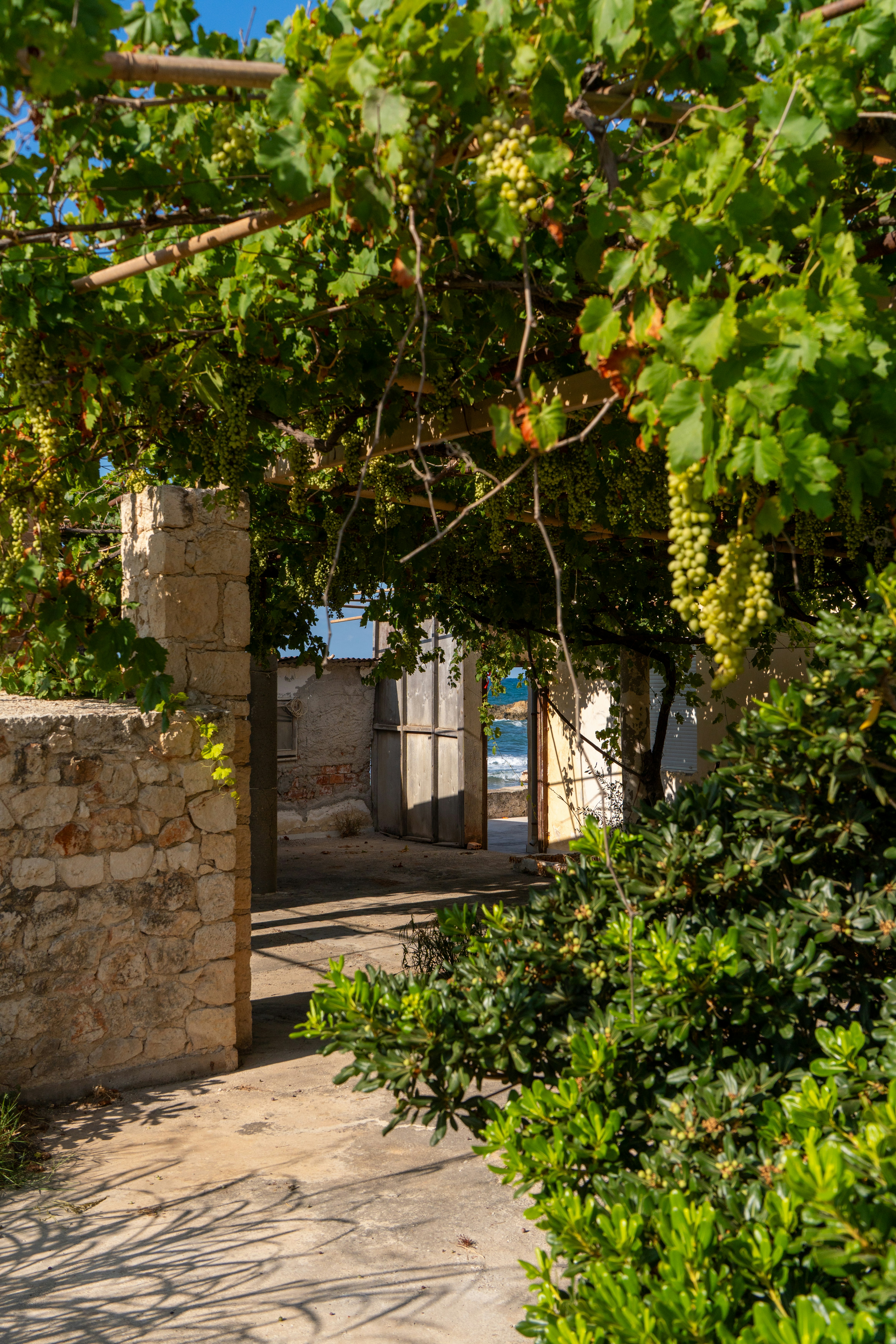 Sunlit Archway Through a Vine-Covered Courtyard to the Sea