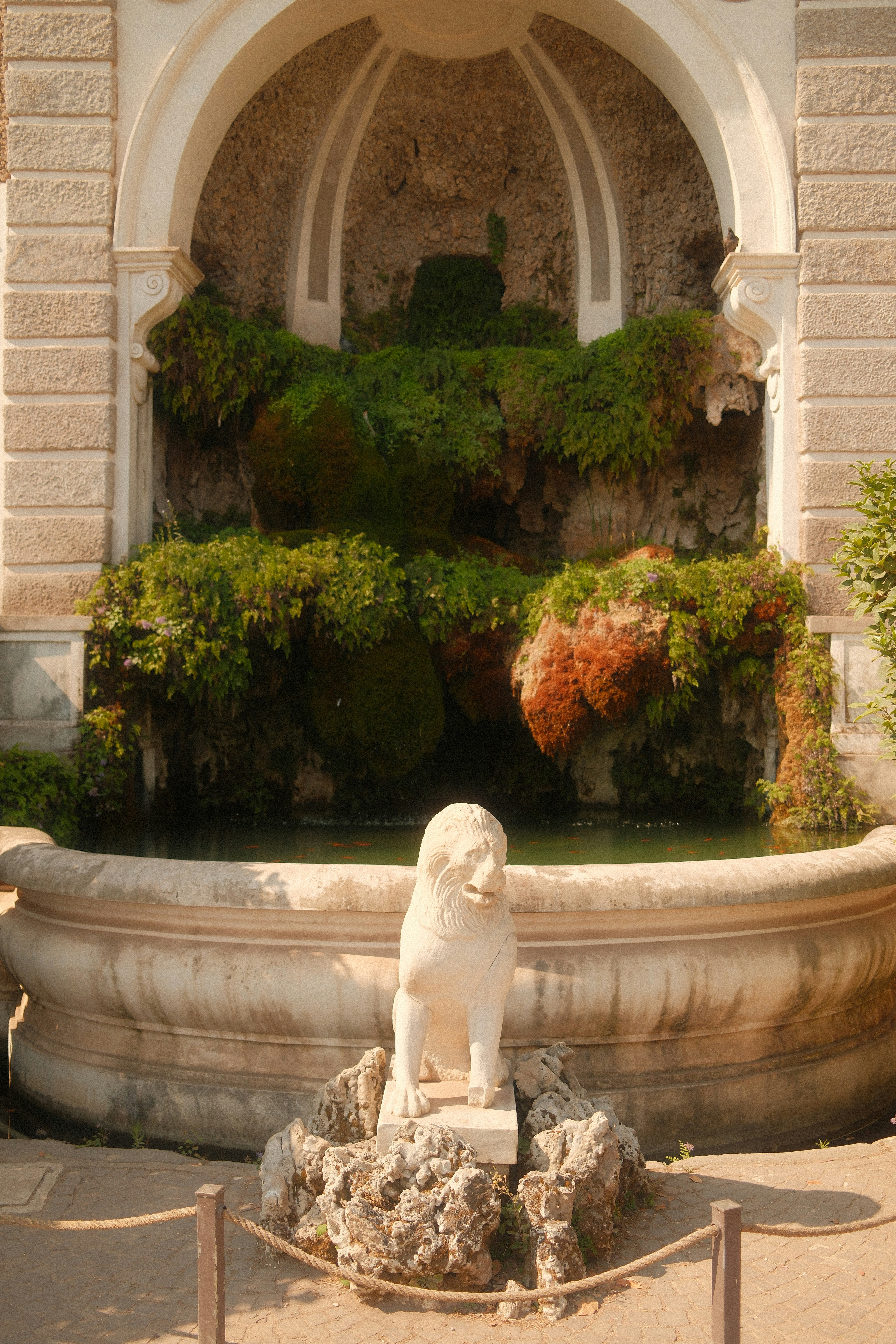 Stone Guardian Overlooking the Fount in Evening Light