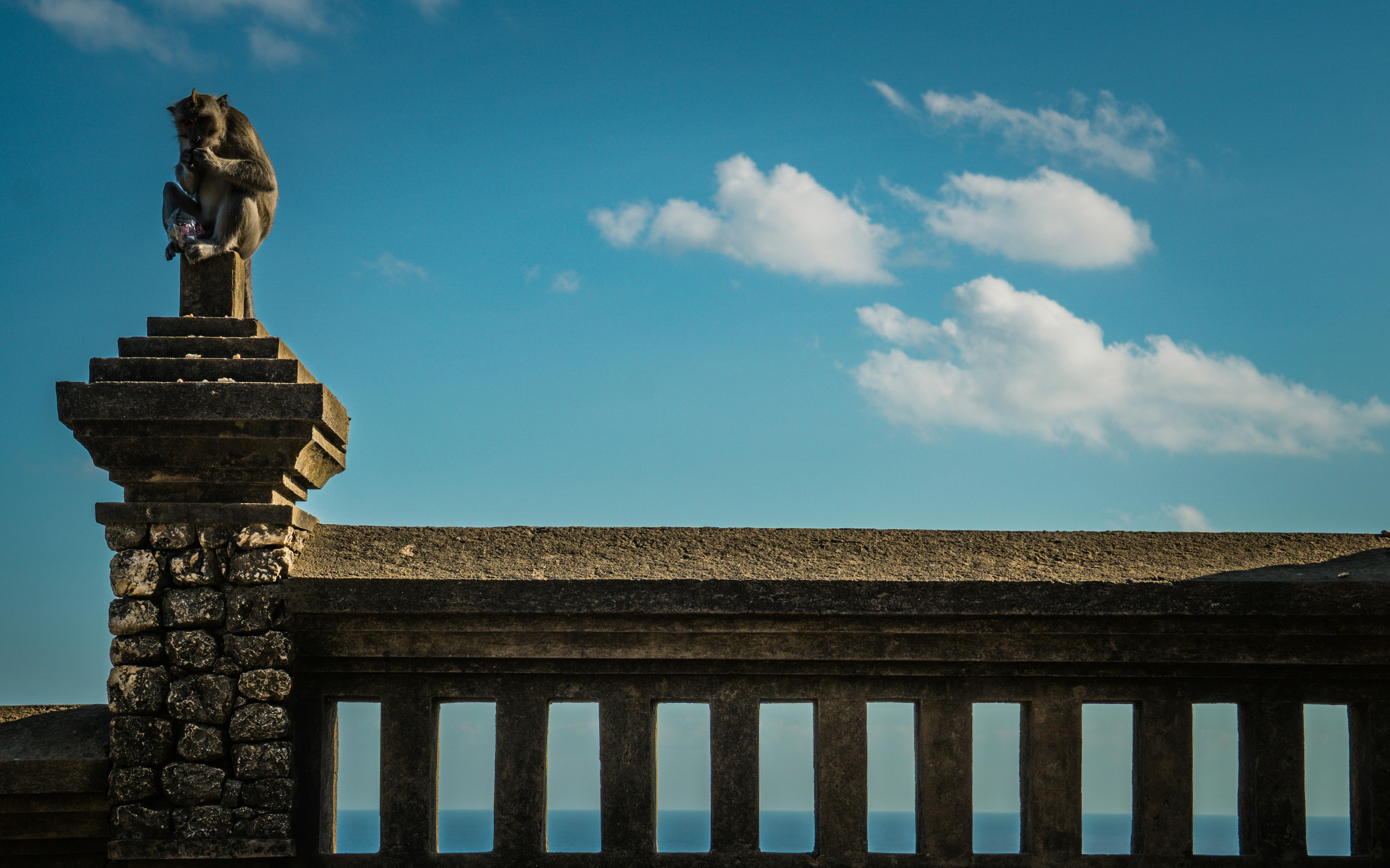 Stone Guardian Overlooking the Sea