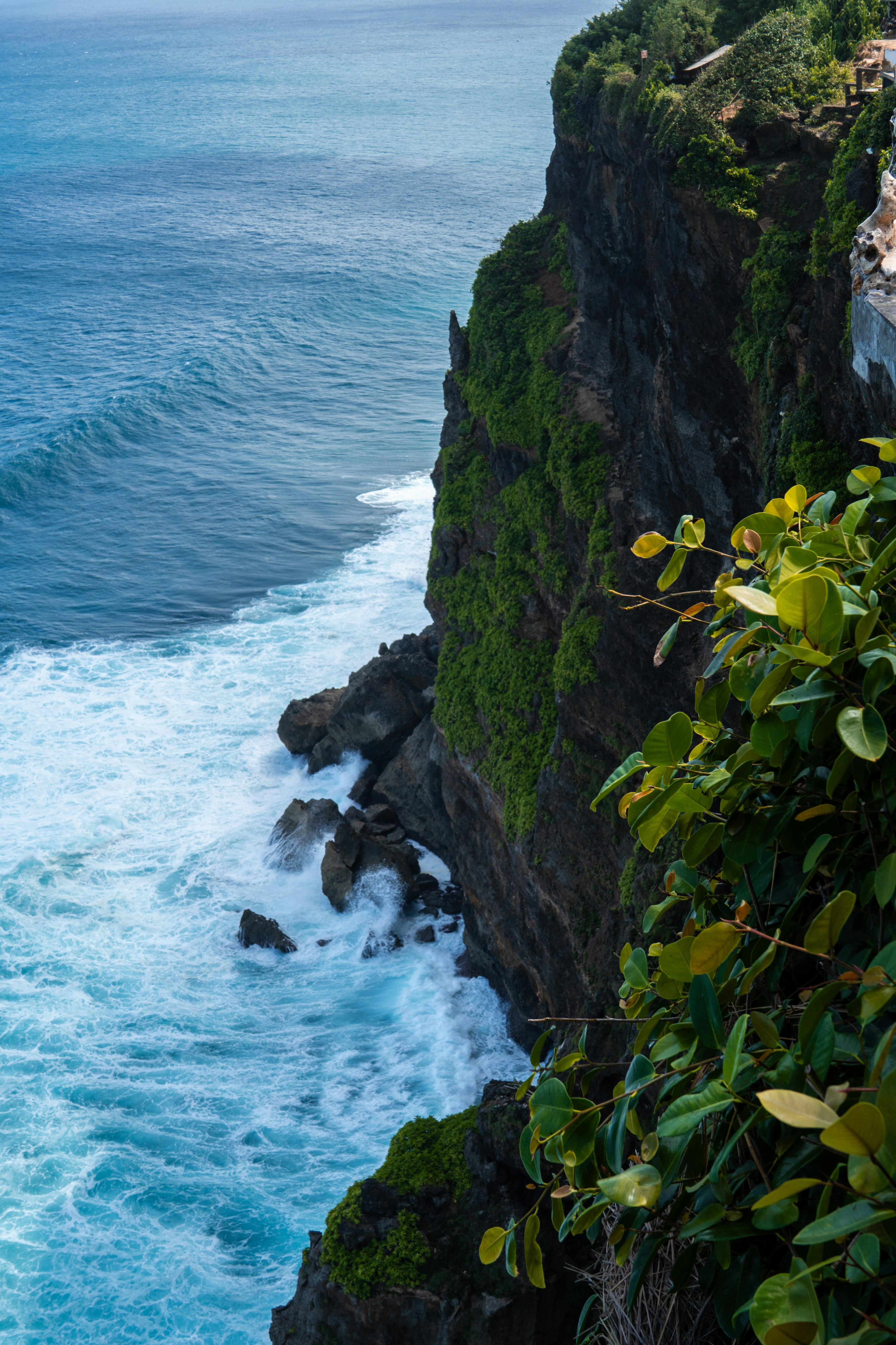 Cliffside Vista: Turquoise Waves Crash Beneath Lush Cliffs