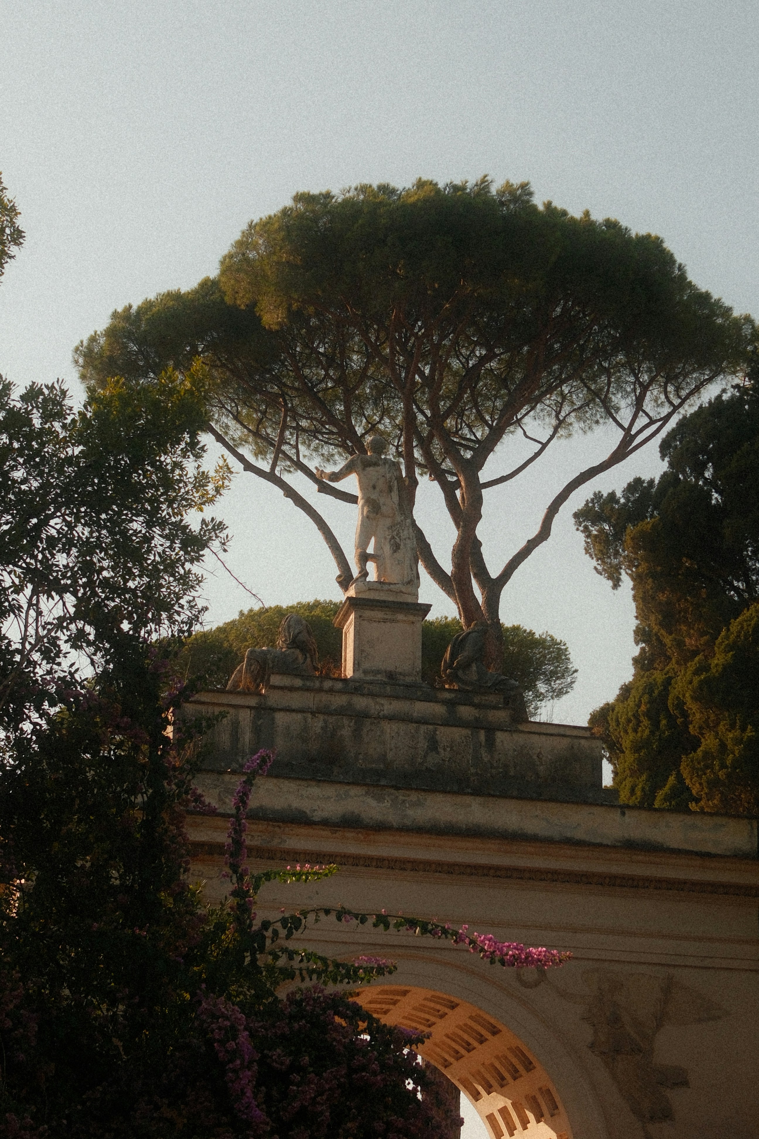 Statue Guardian Beneath a Stately Umbrella of Pines