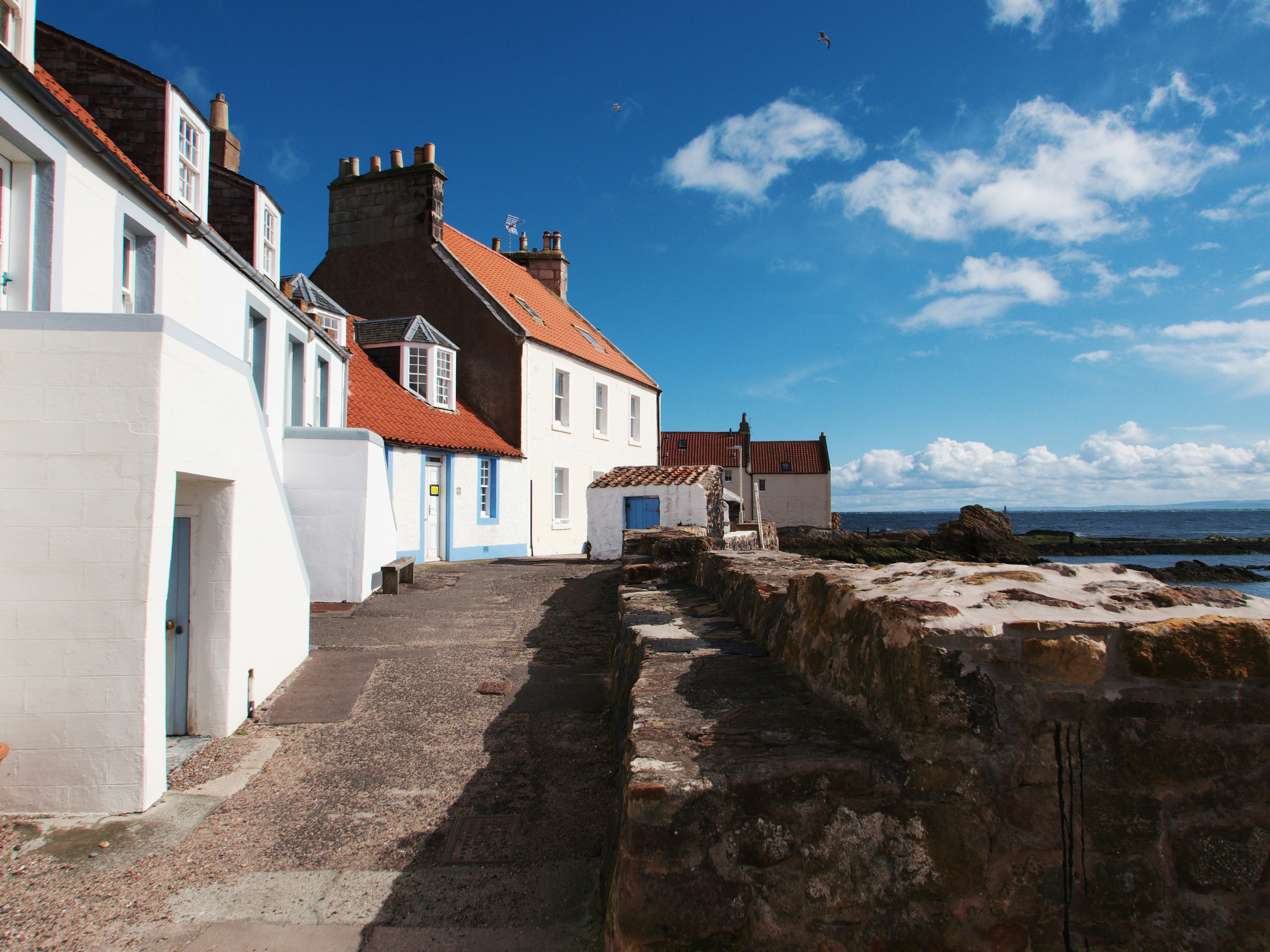 Sunlit cottages along a windswept coastal lane