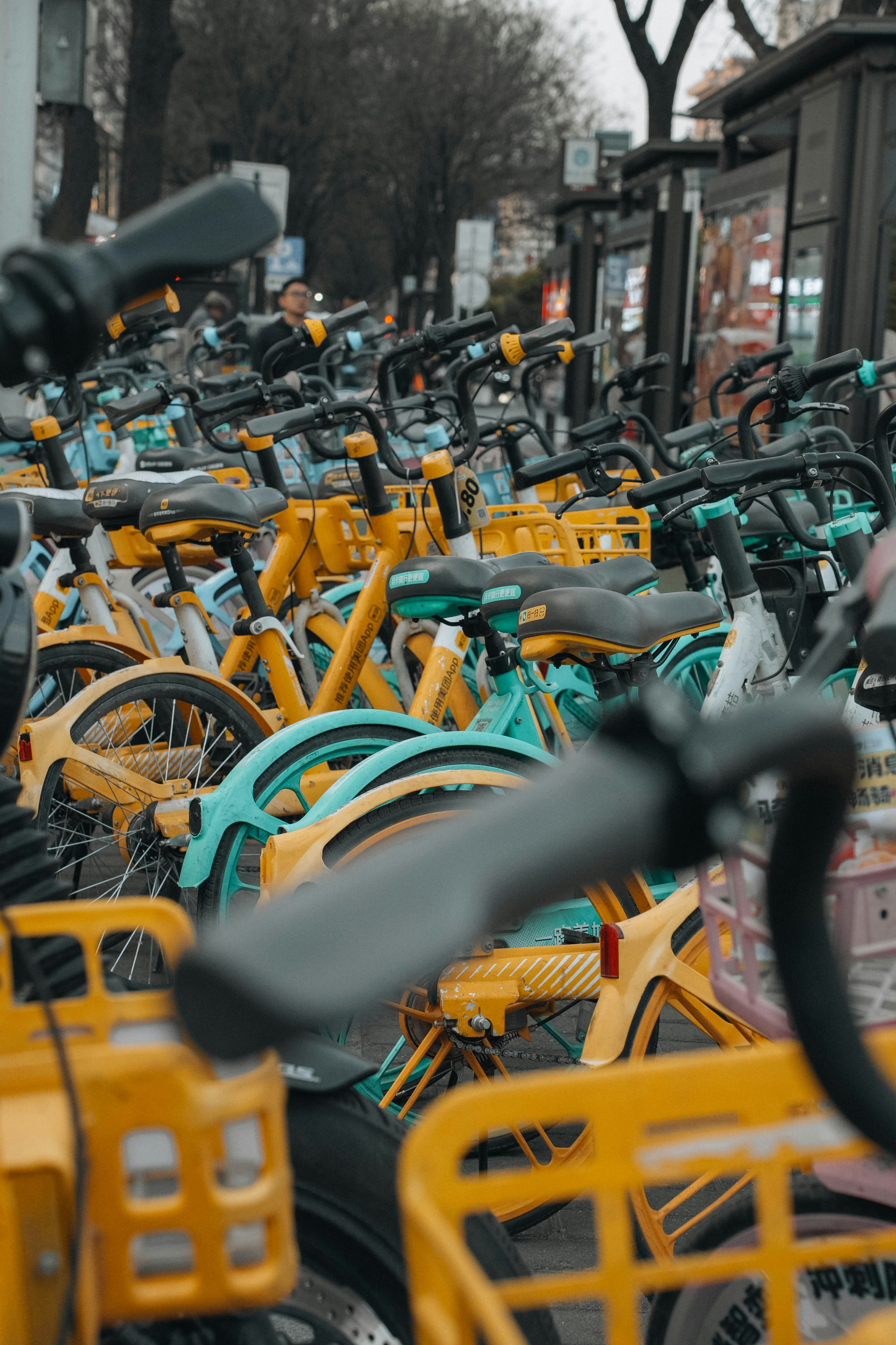 Row upon Row: A Kaleidoscope of Shared Rides