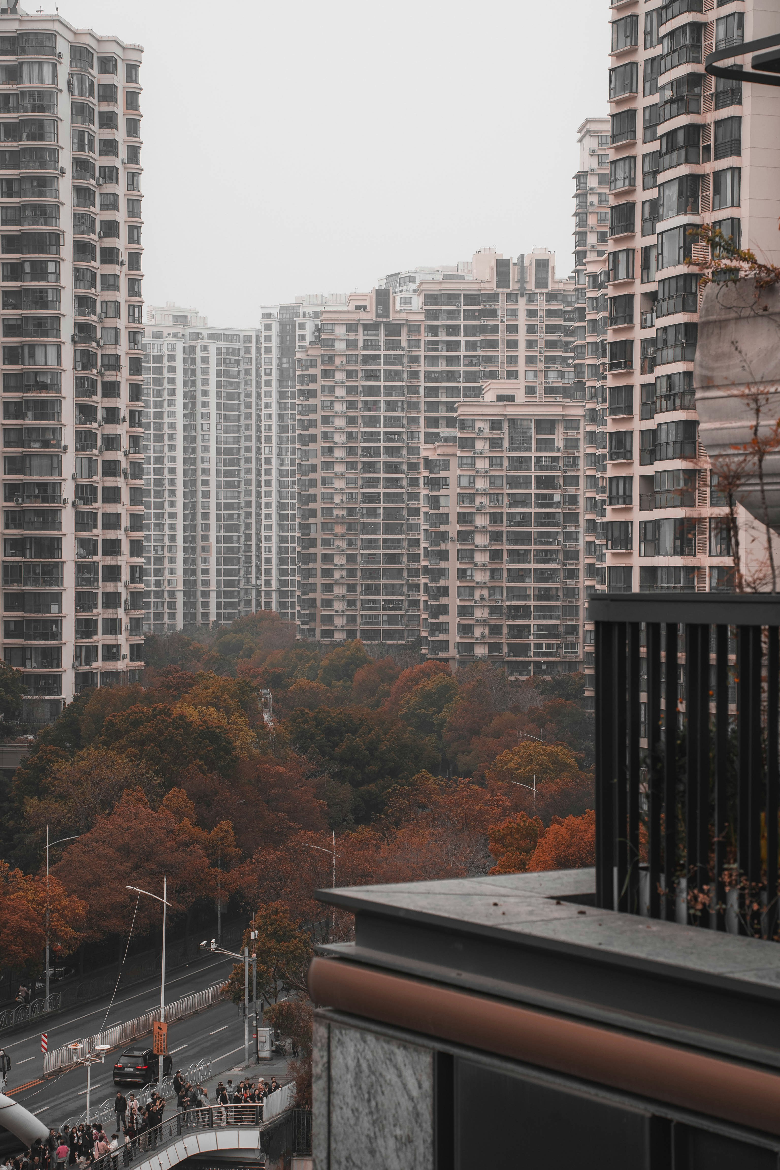 Autumn Overcast Corridor of Towers