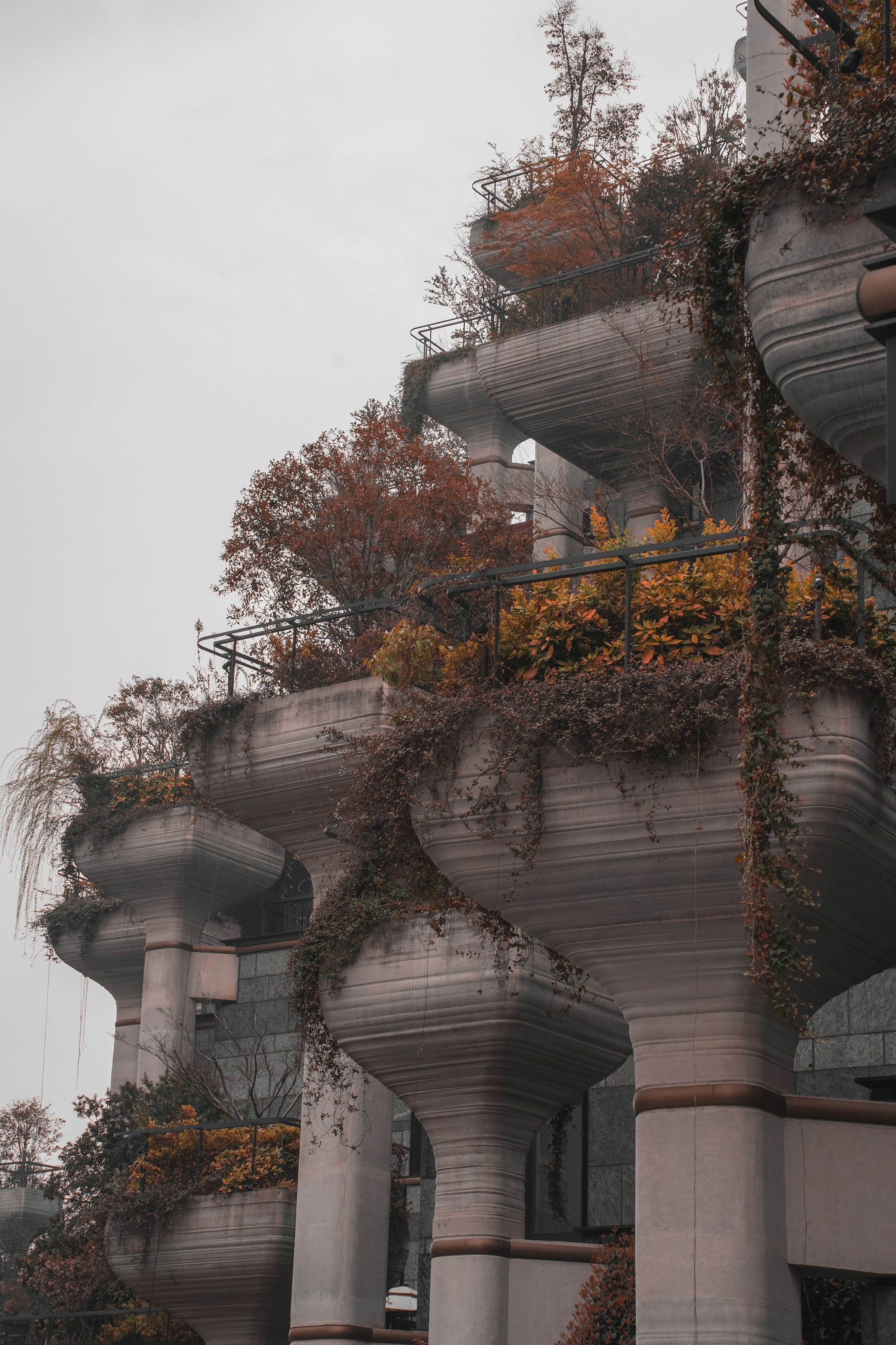 Overgrown Concrete Terraces Clinging to Time