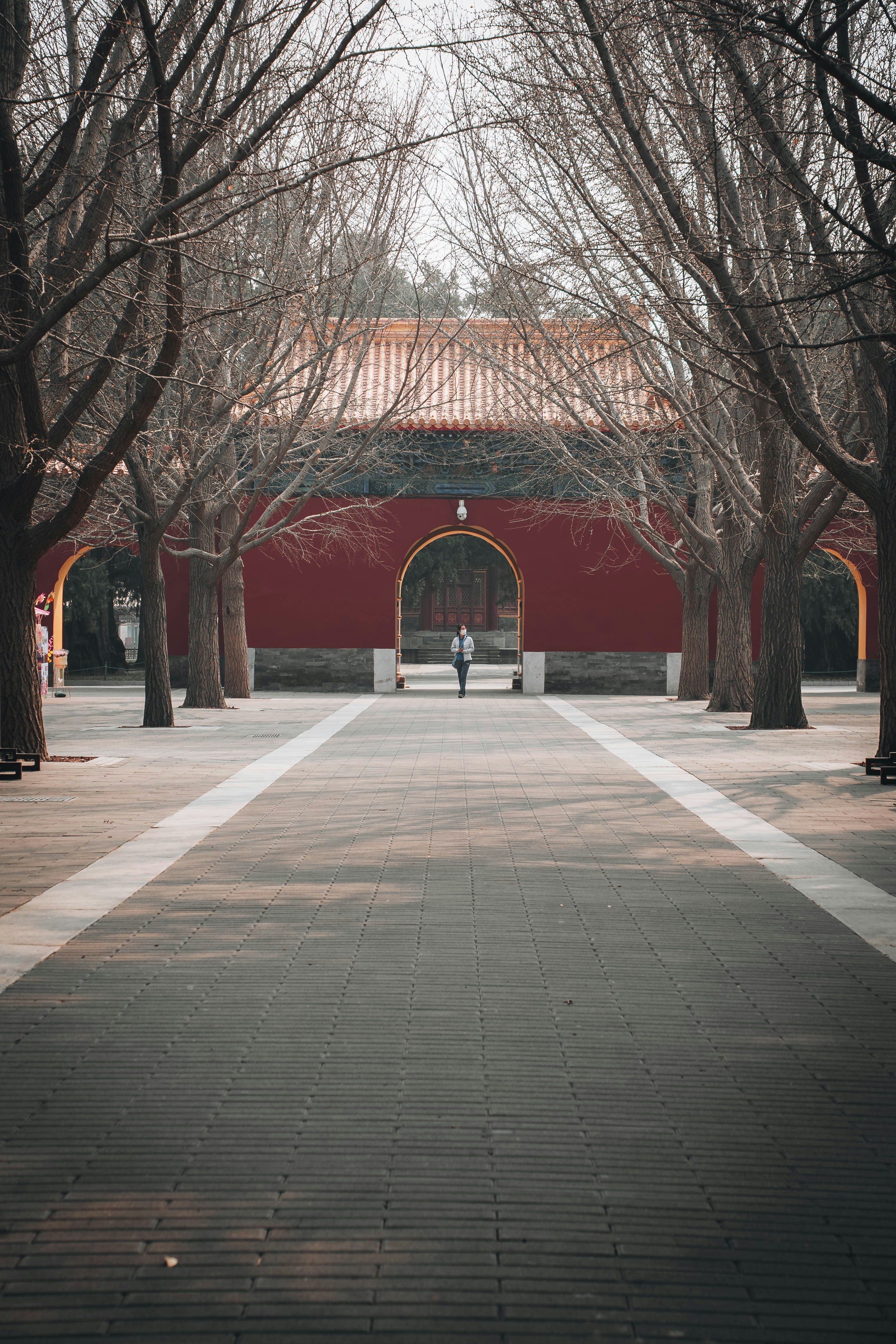 Gateway Avenue: A Lone Figure Beneath the Arch