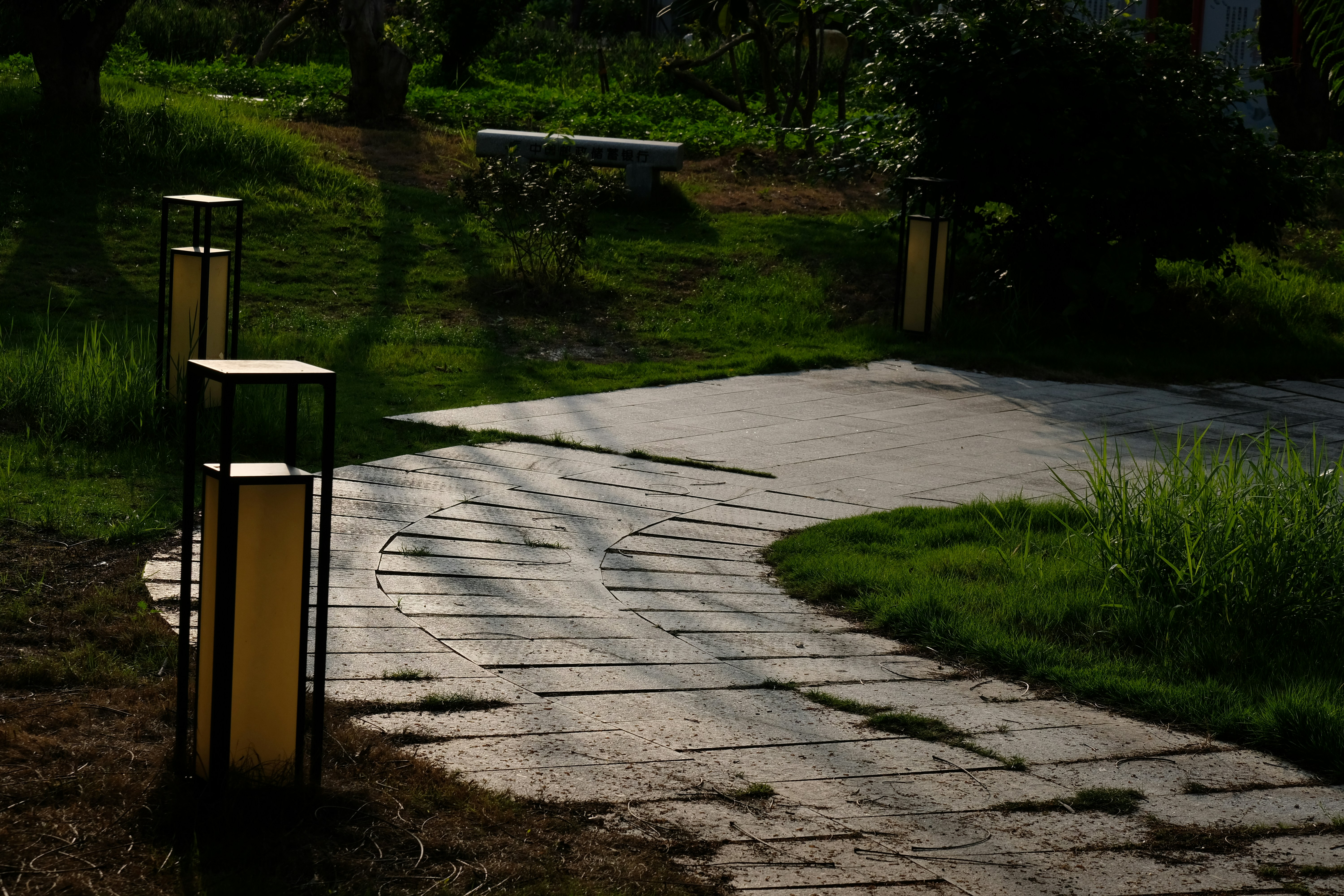 Sunlit Pathway in Quiet Riverside Park