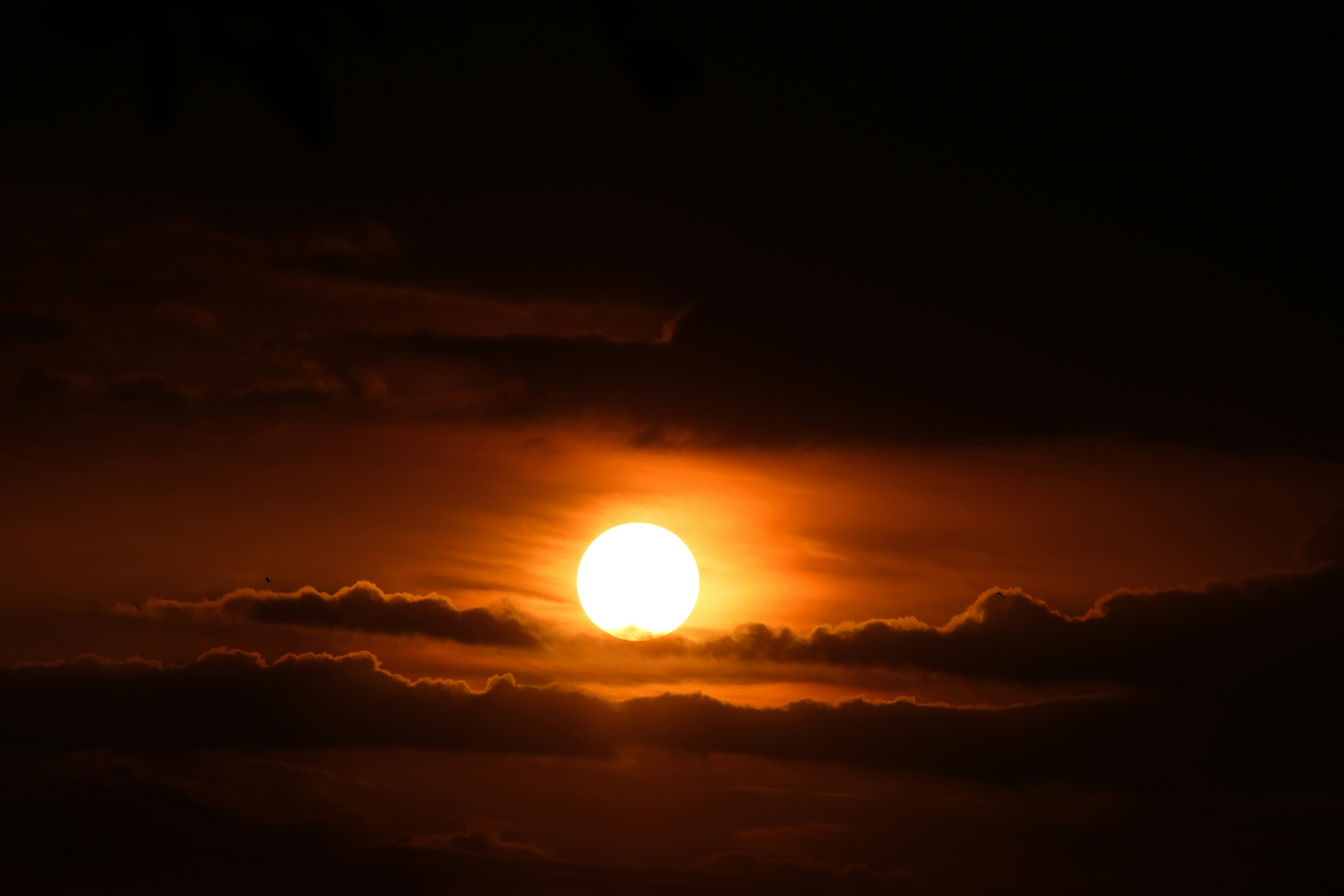 Dusk Embrace: A Bold Sun Immersed in Evening Clouds