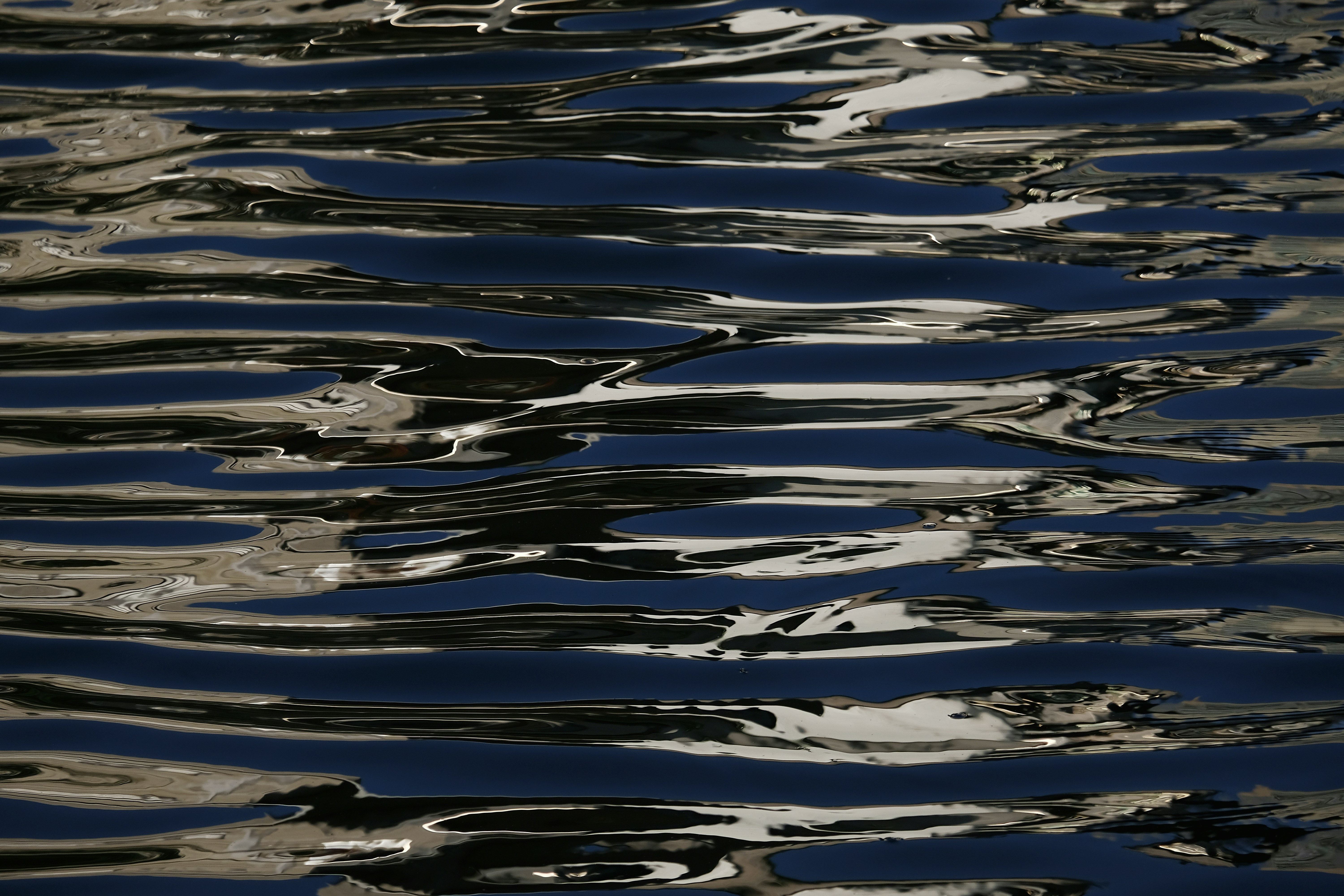 Waves of Chrome: Abstract Ripples on a Dark Canvas