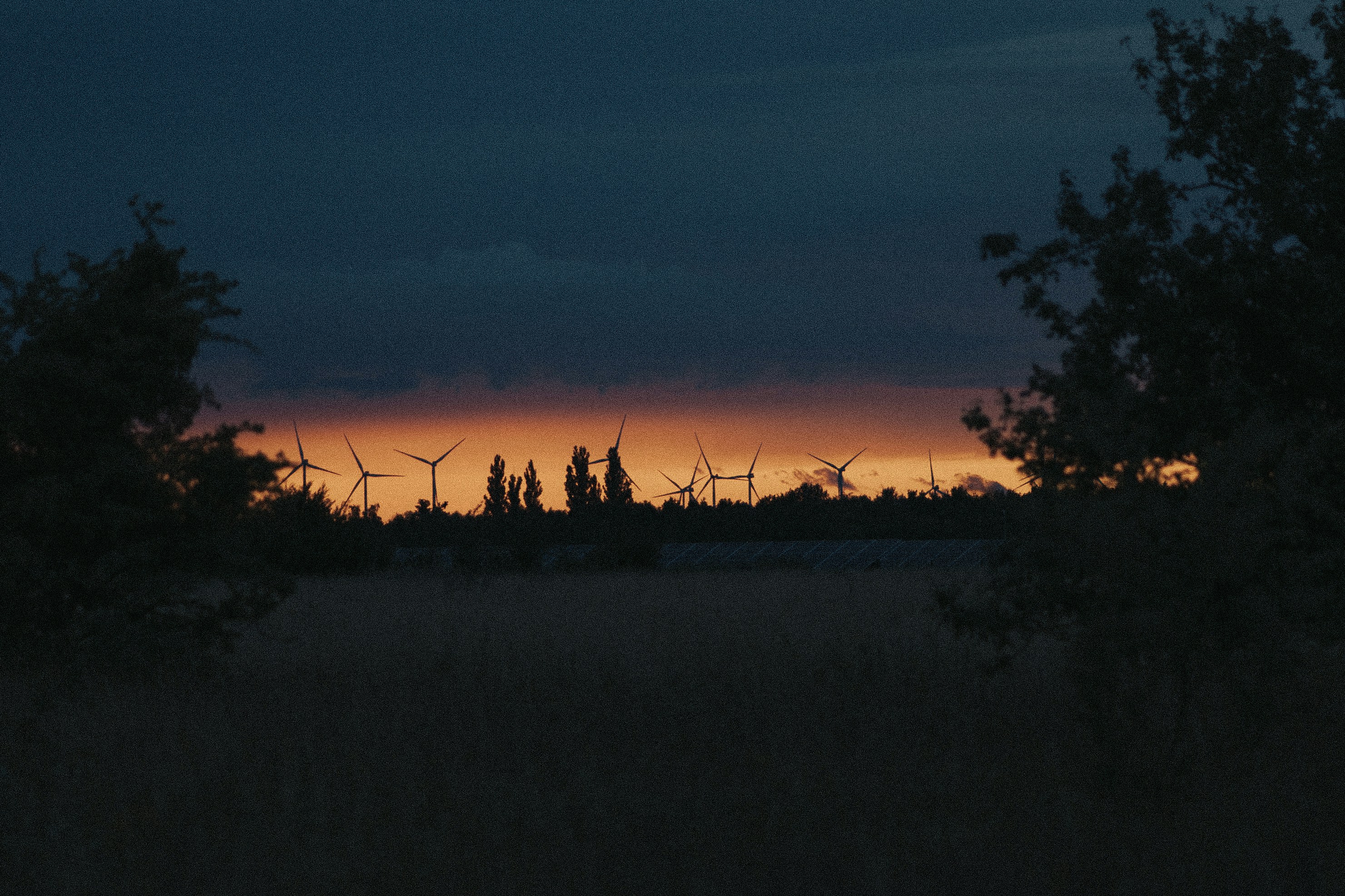 Dusk Horizon over Wind-Swept Field with Silhouetted Trees