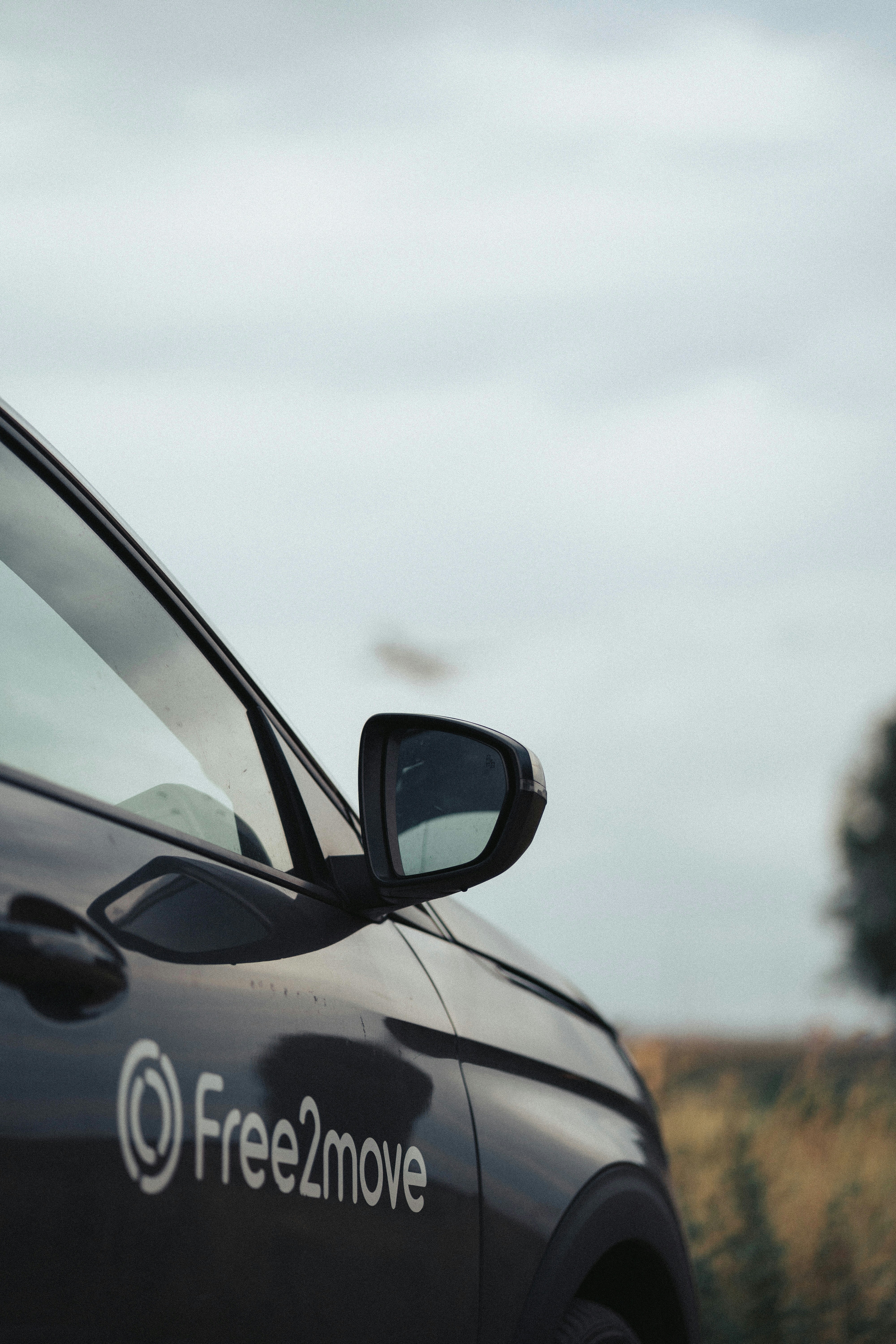 Side View of a Free2Move branded Car in an Open Field