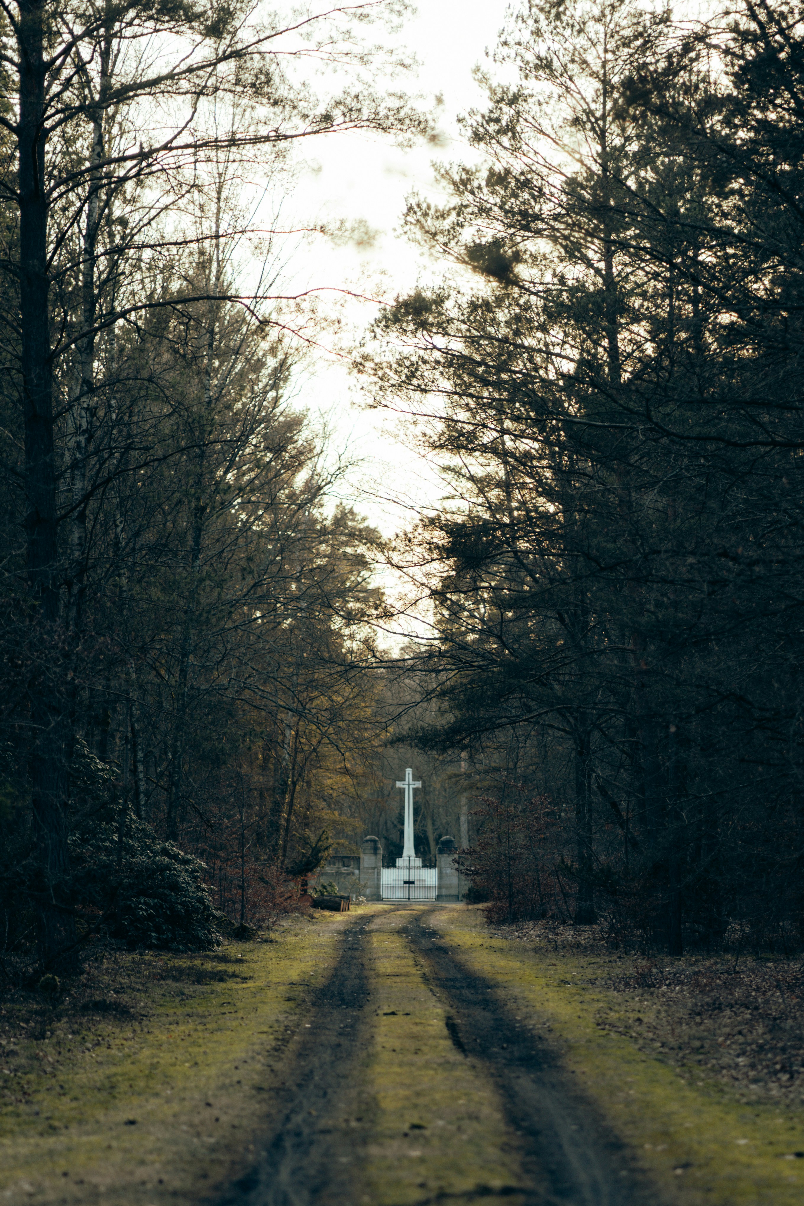 Path to the Silent Cross