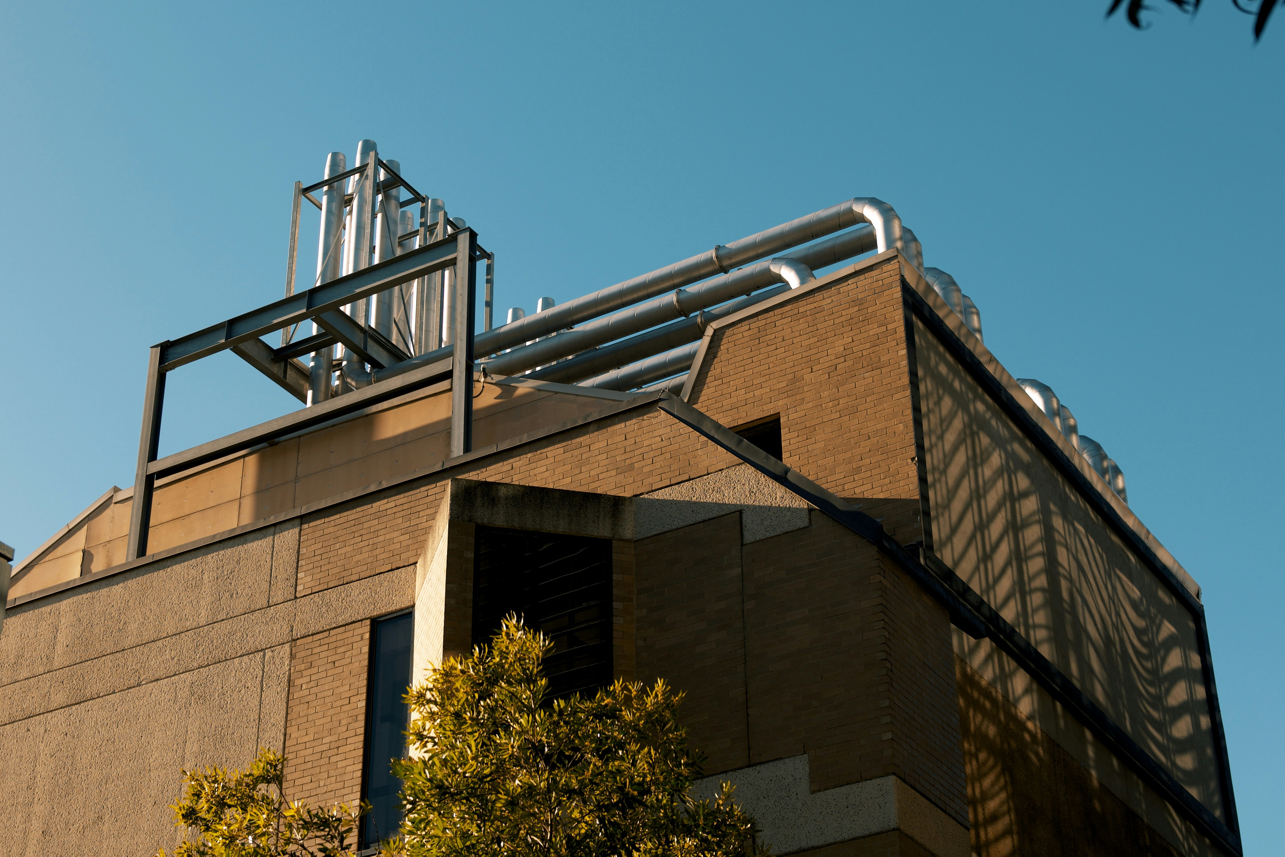 Brick rooftop with metal piping and a sunlit tree branch in foreground against a clear blue sky.