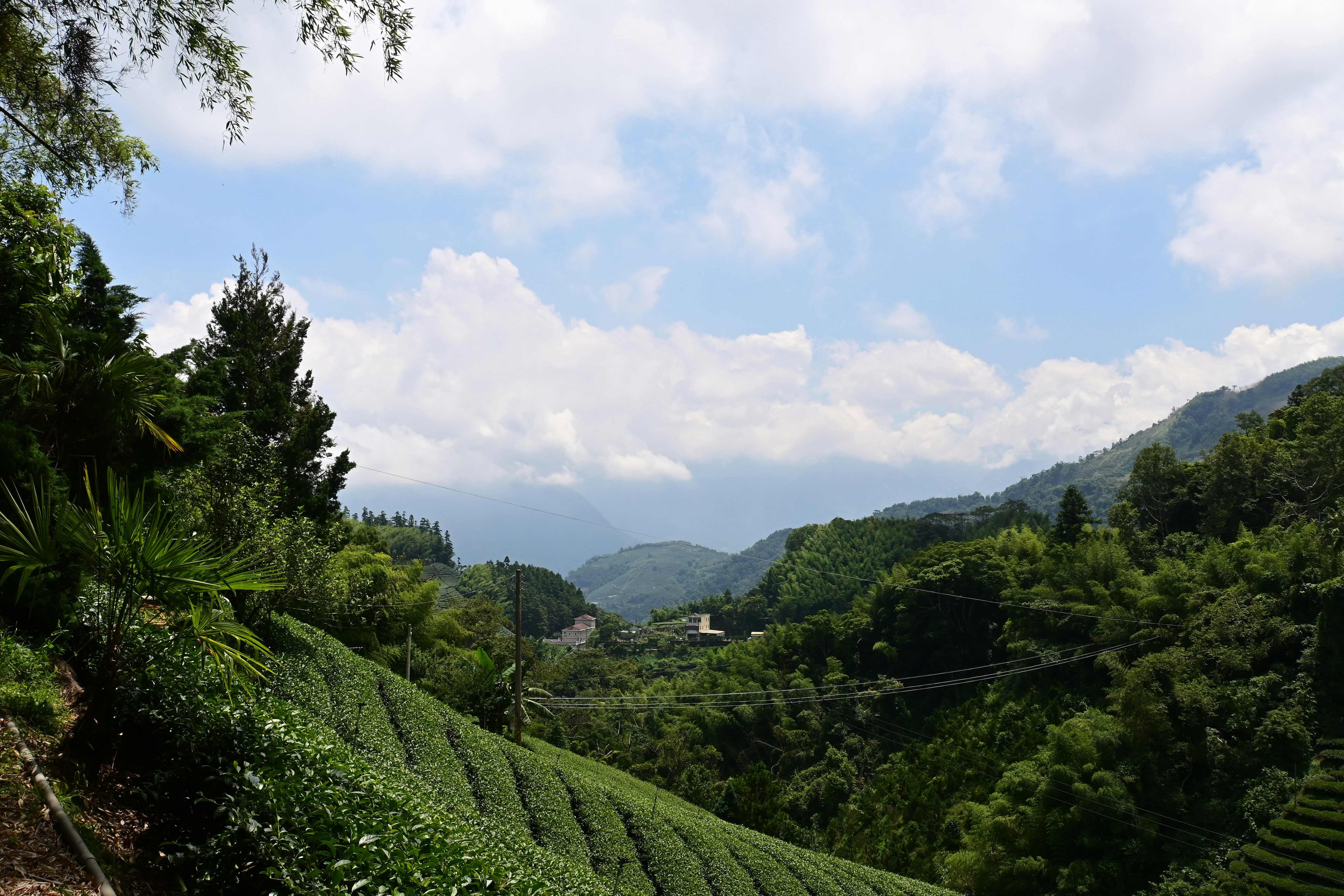 Terraced Greenery and Valley Road Beneath a Blue Sky