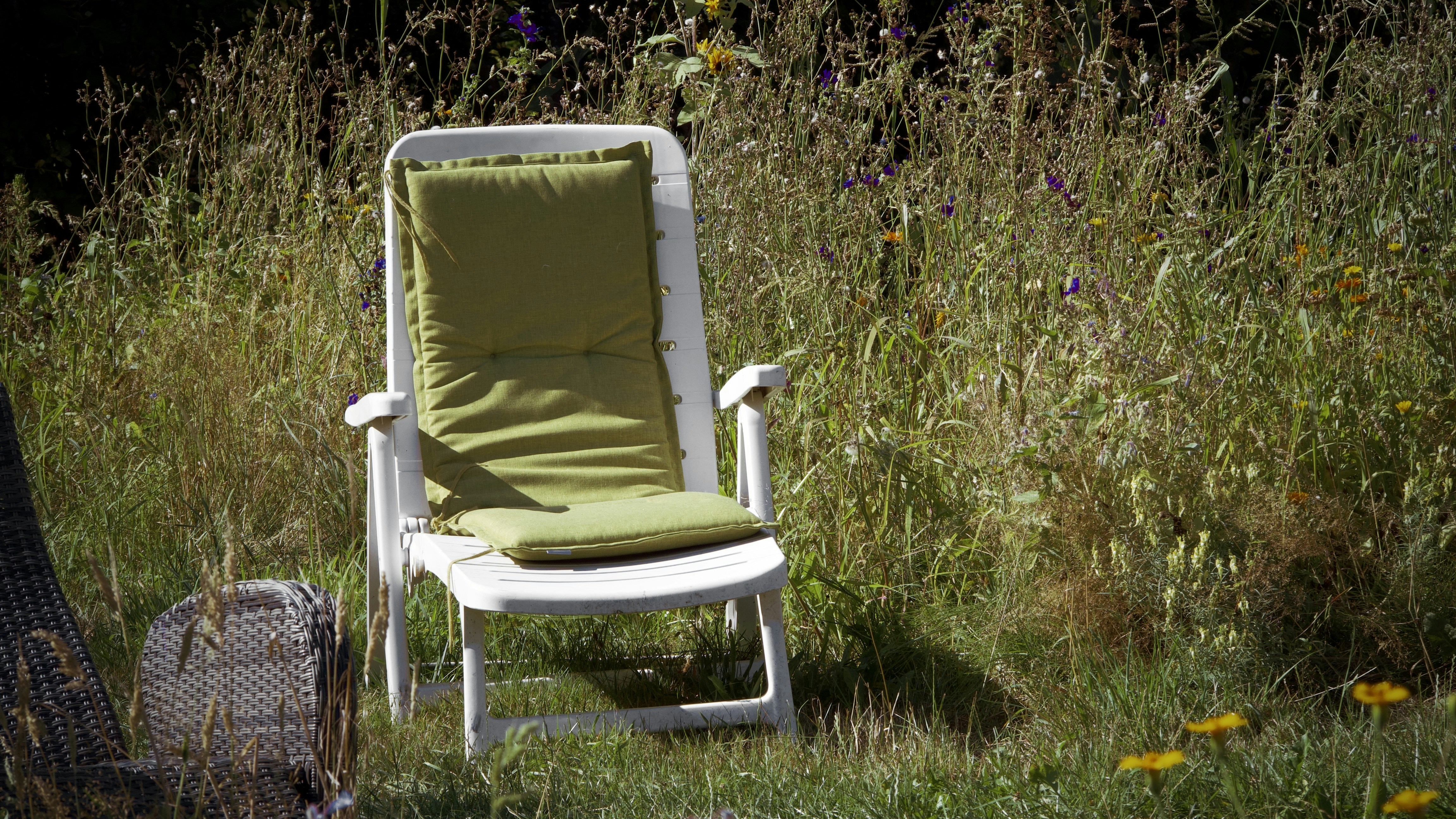 A white lawn chair with olive cushion sits alone in a sunlit meadow of tall wildflowers, suggesting a quiet outdoor resting spot.