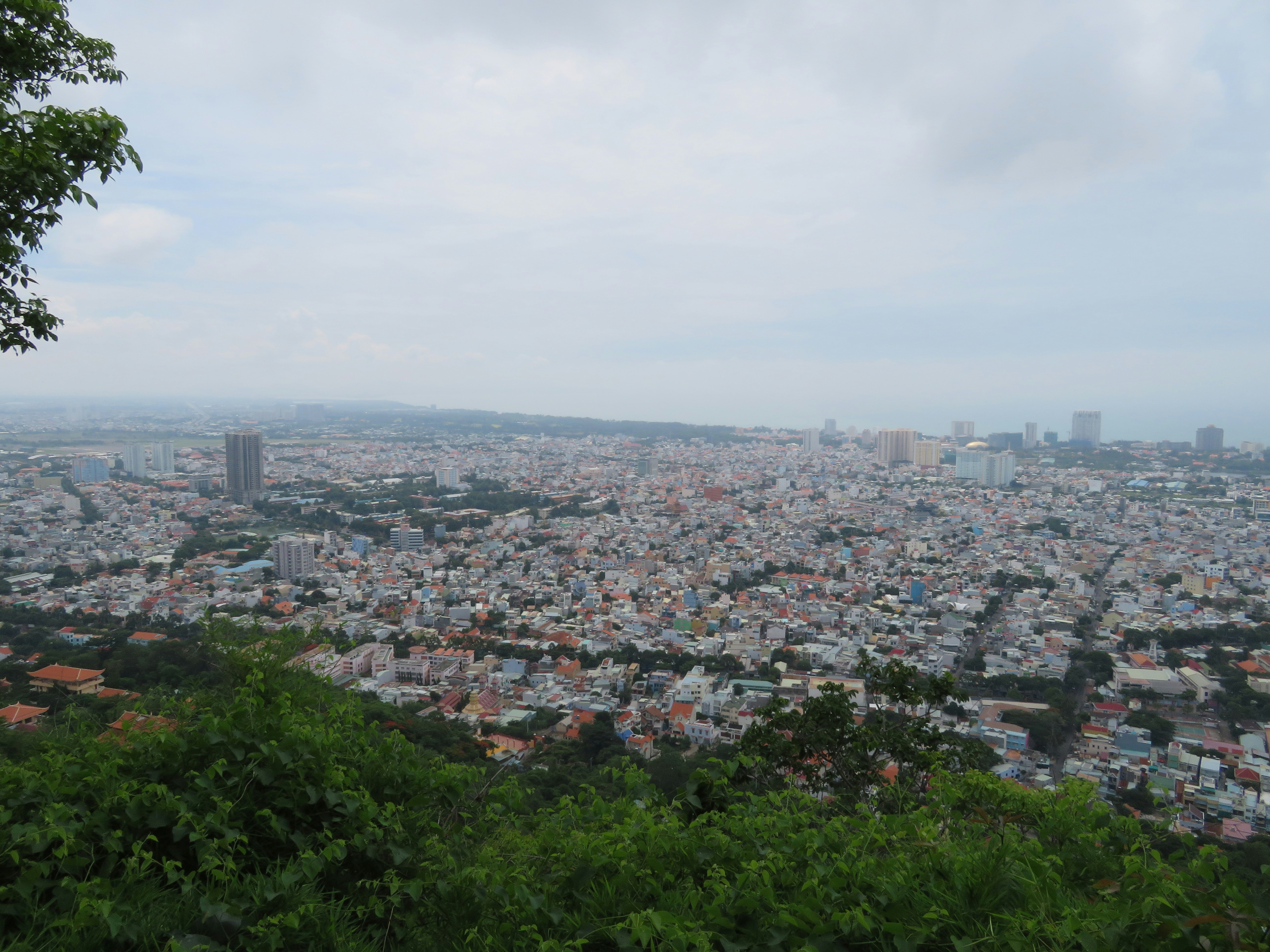 Urban Sea of Tiles: A sprawling city from a verdant overlook
