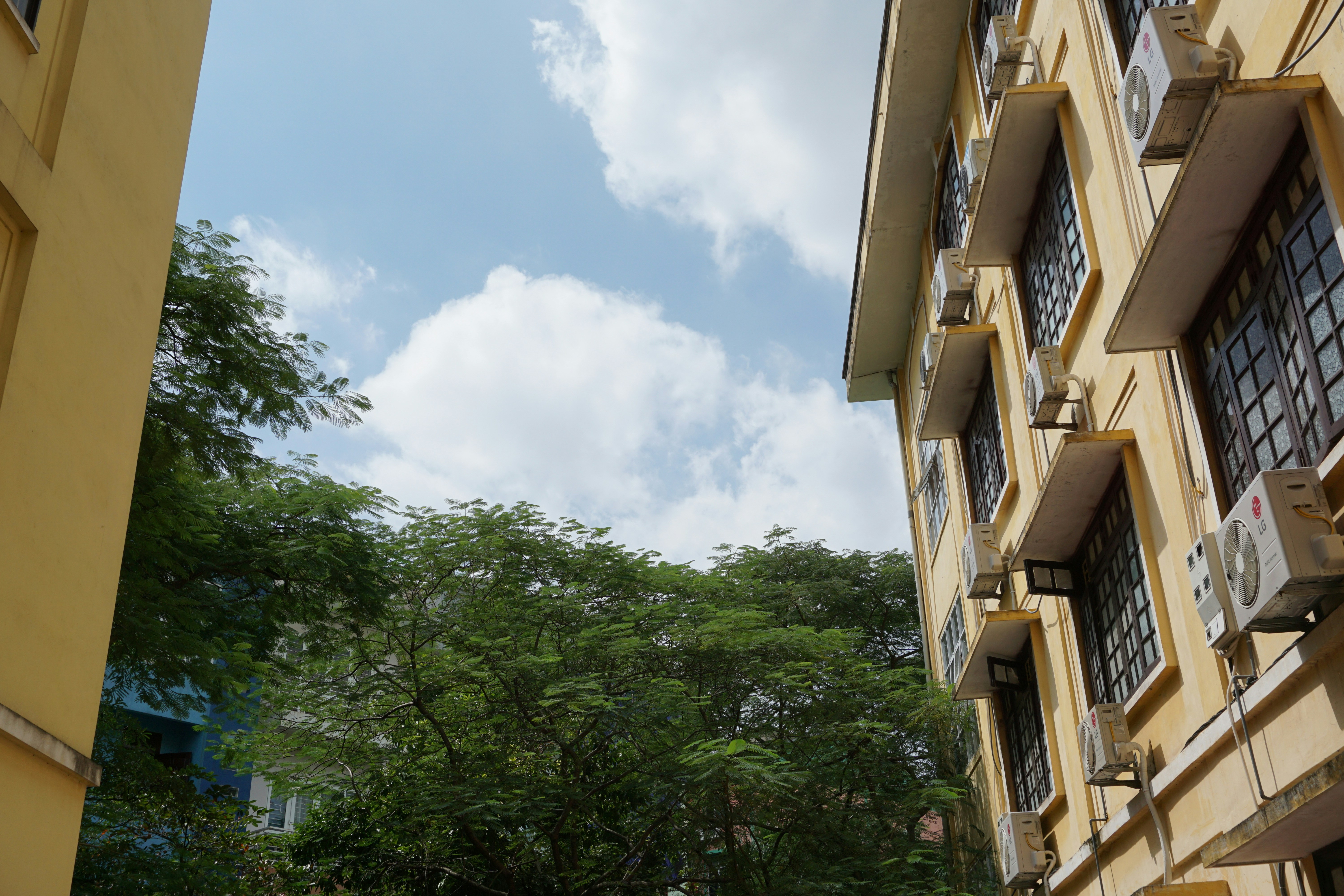 Golden-Clowed Courtyard: Sunlit Facades and Verdant Canopy