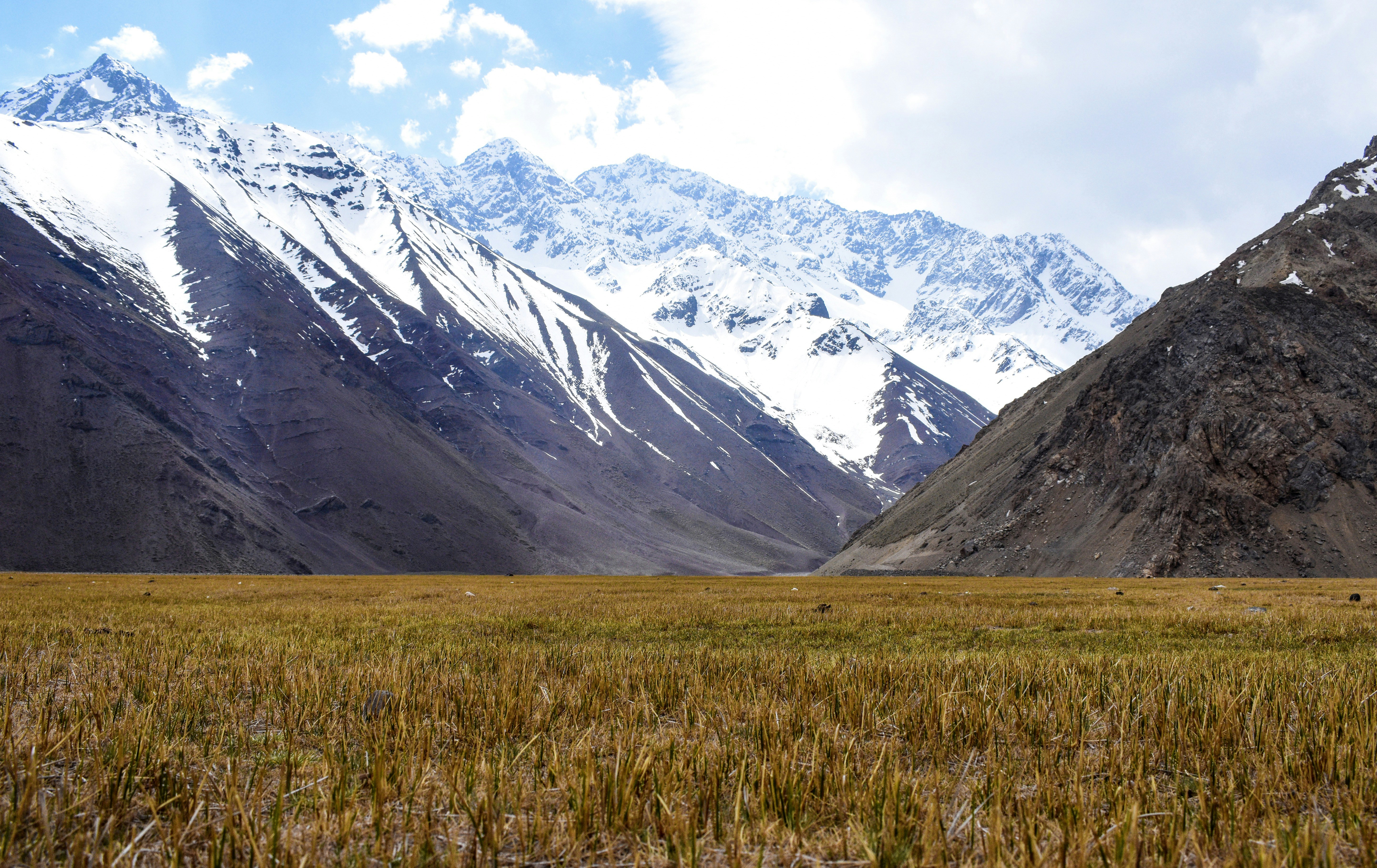 Snow-kissed Peaks Above a Golden Tundra