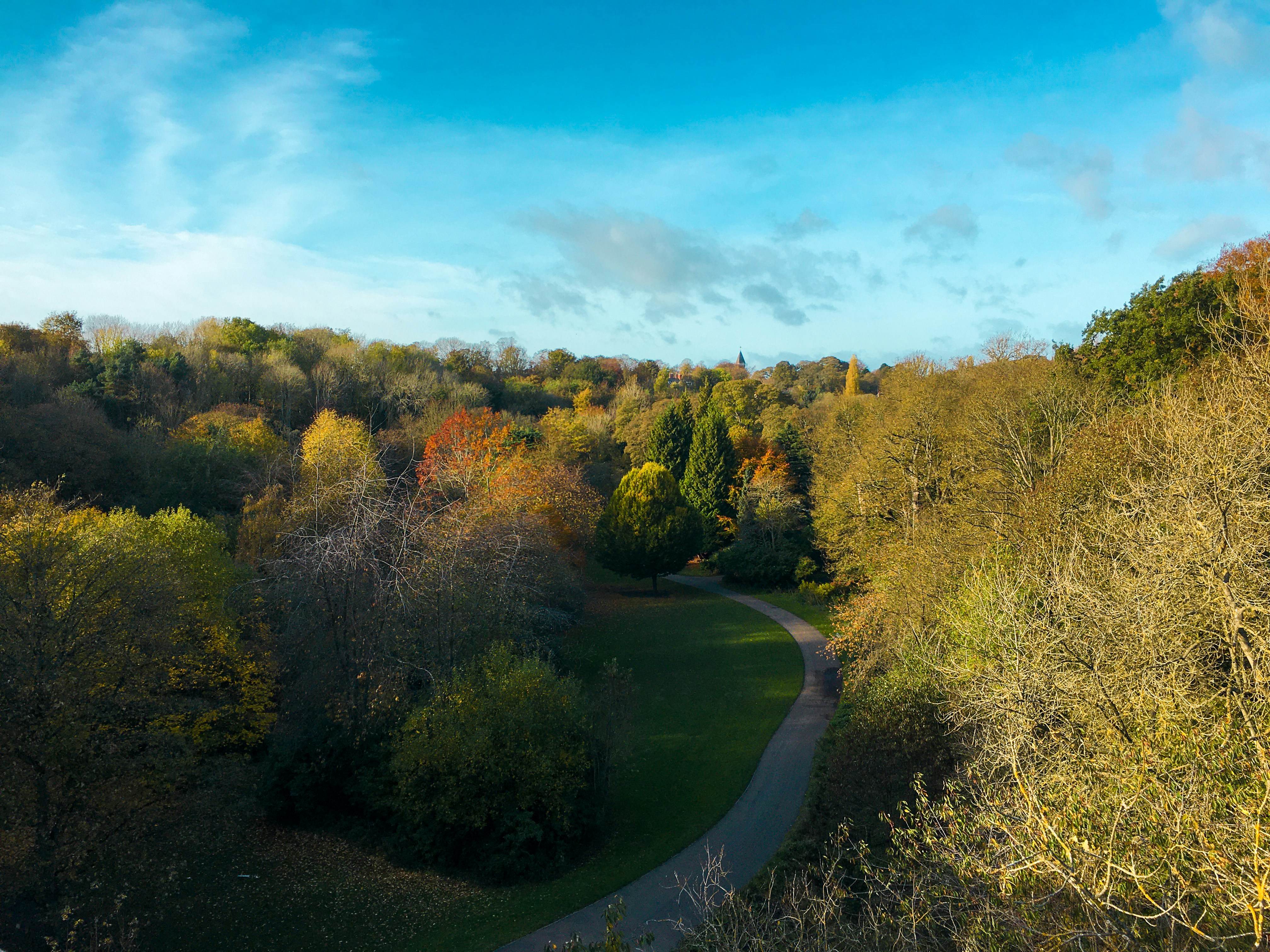 A sunlit park path winds through a mix of autumn trees, with a cresting hillside and clear blue sky in the distance.