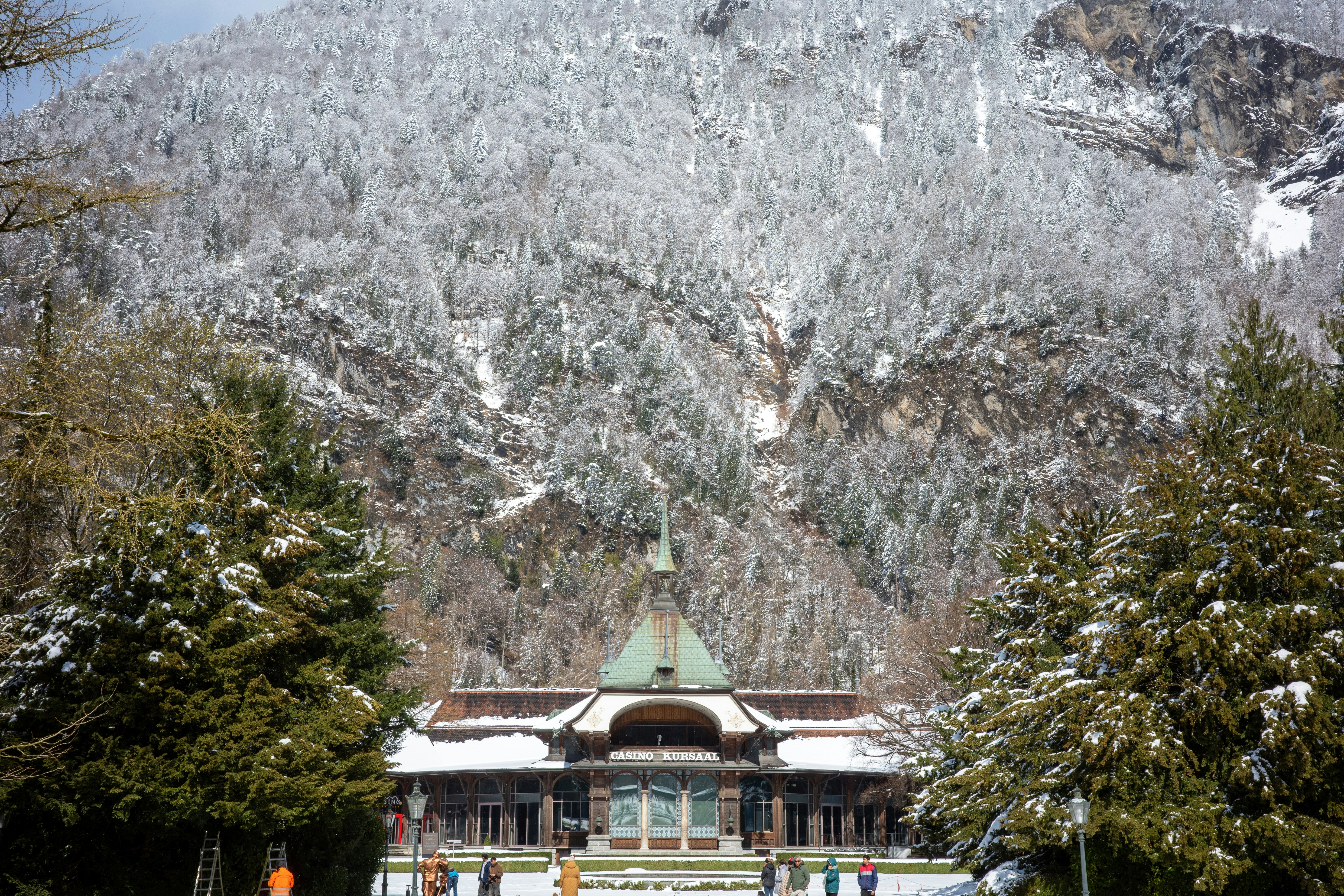 Snow-kissed Chalet at the Foot of Frosted Pines