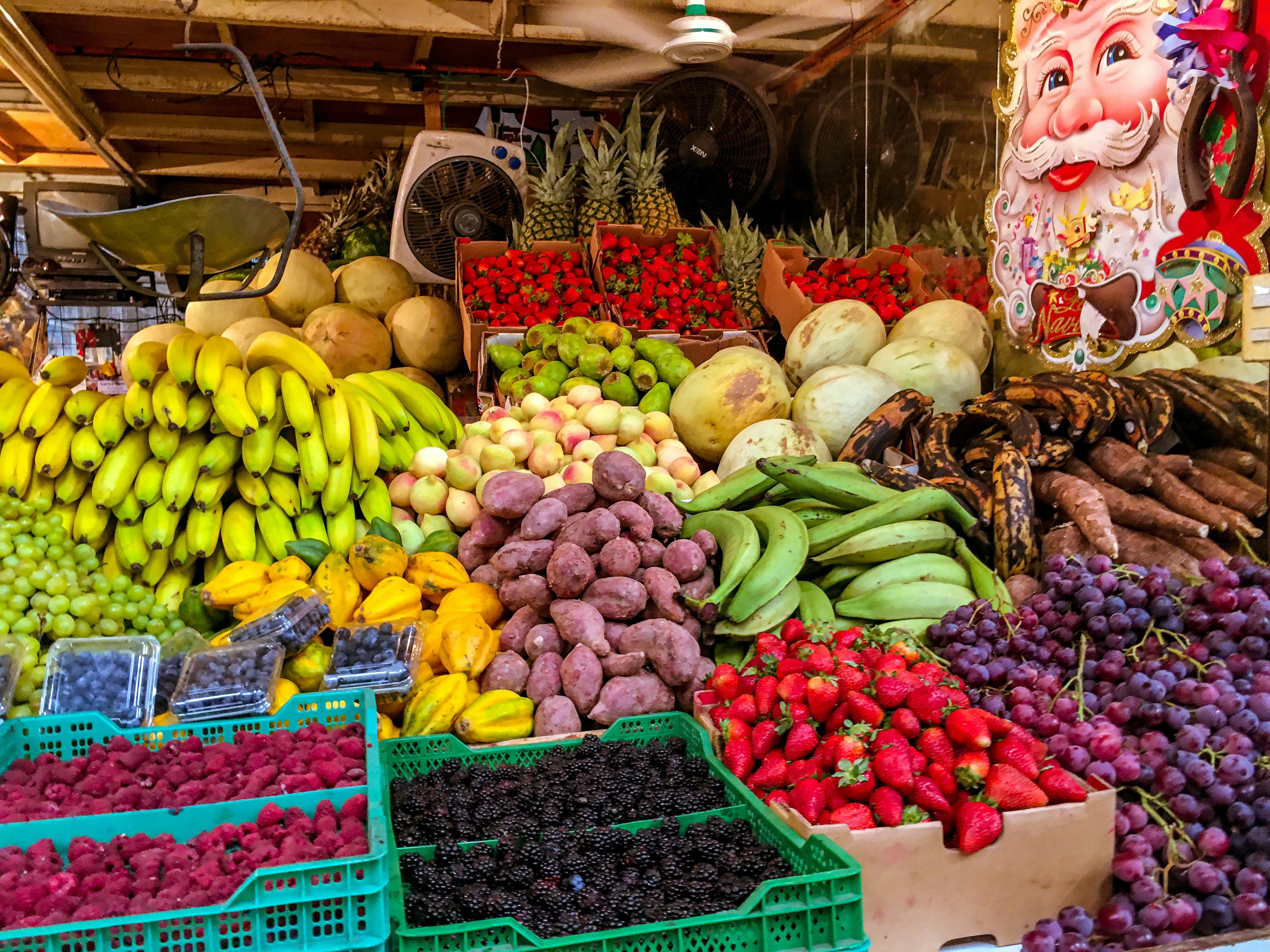 Colorful Aisle of Orchard Treasures
