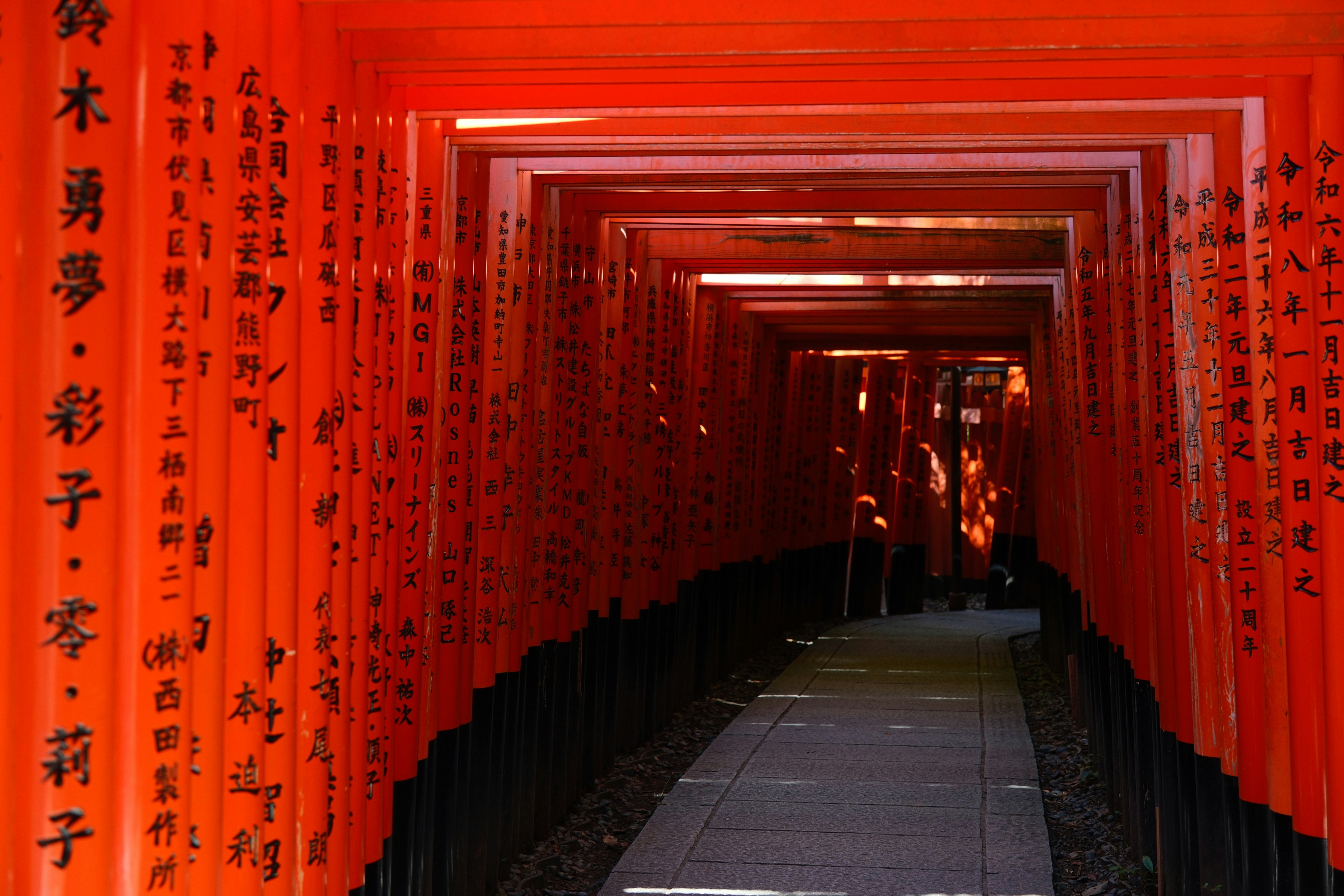 Red Corridor of Torii: A Path Through Tokyo’s Torii Gate Tunnel
