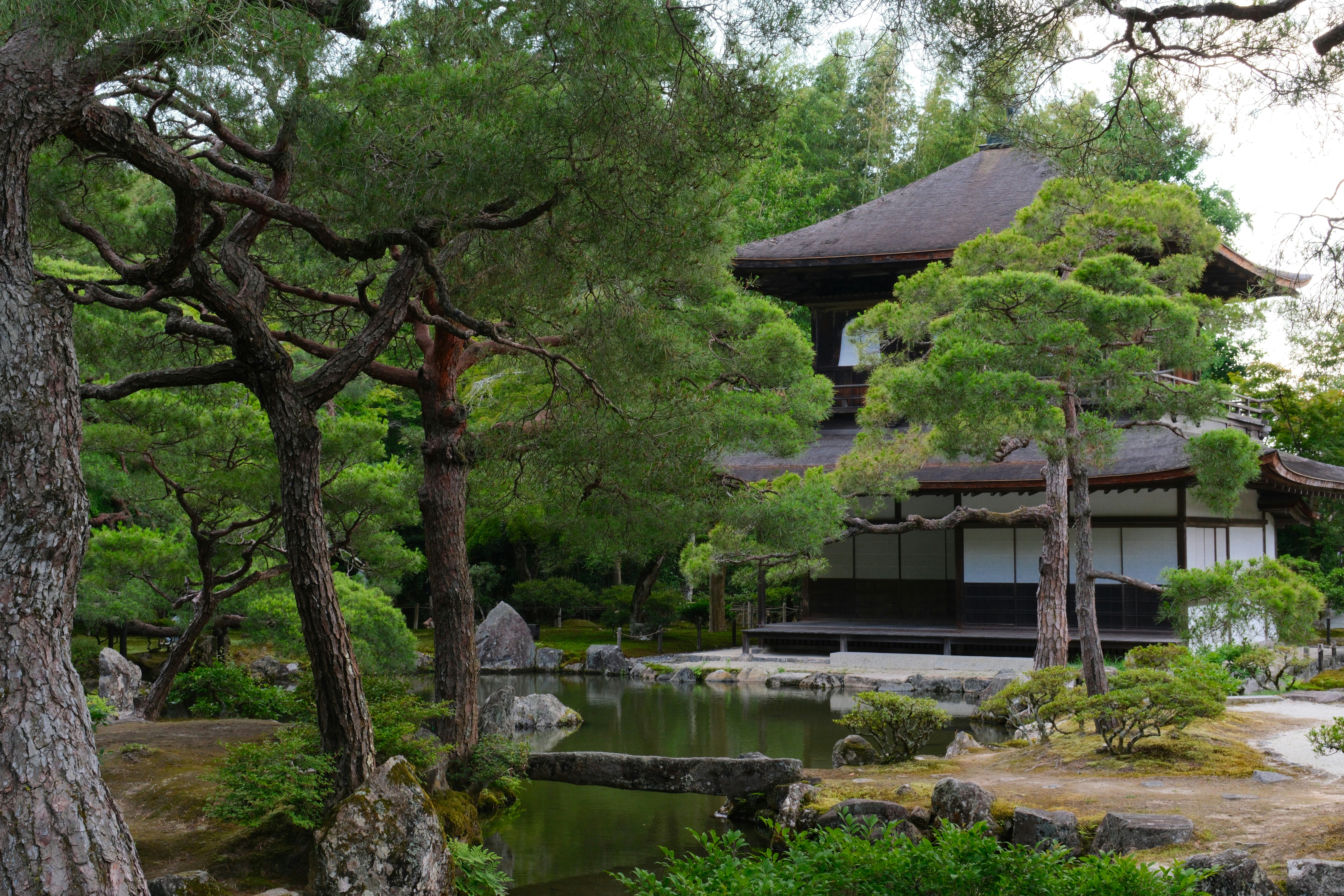 Zen Garden Reflections: A Tranquil Temple by the Pine Pond