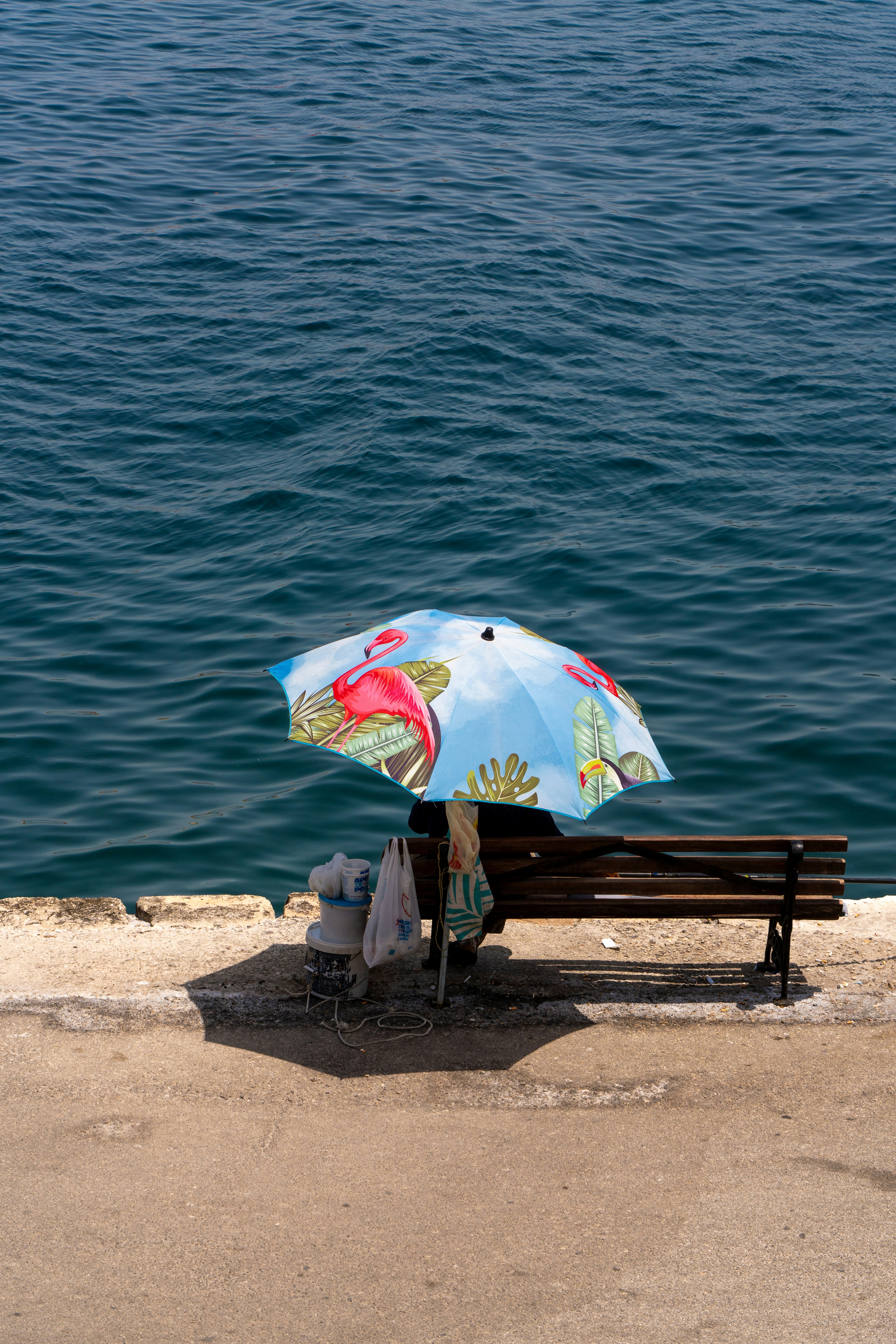 Photo by Jacek Janiczak with Sony Alpha 7 IV