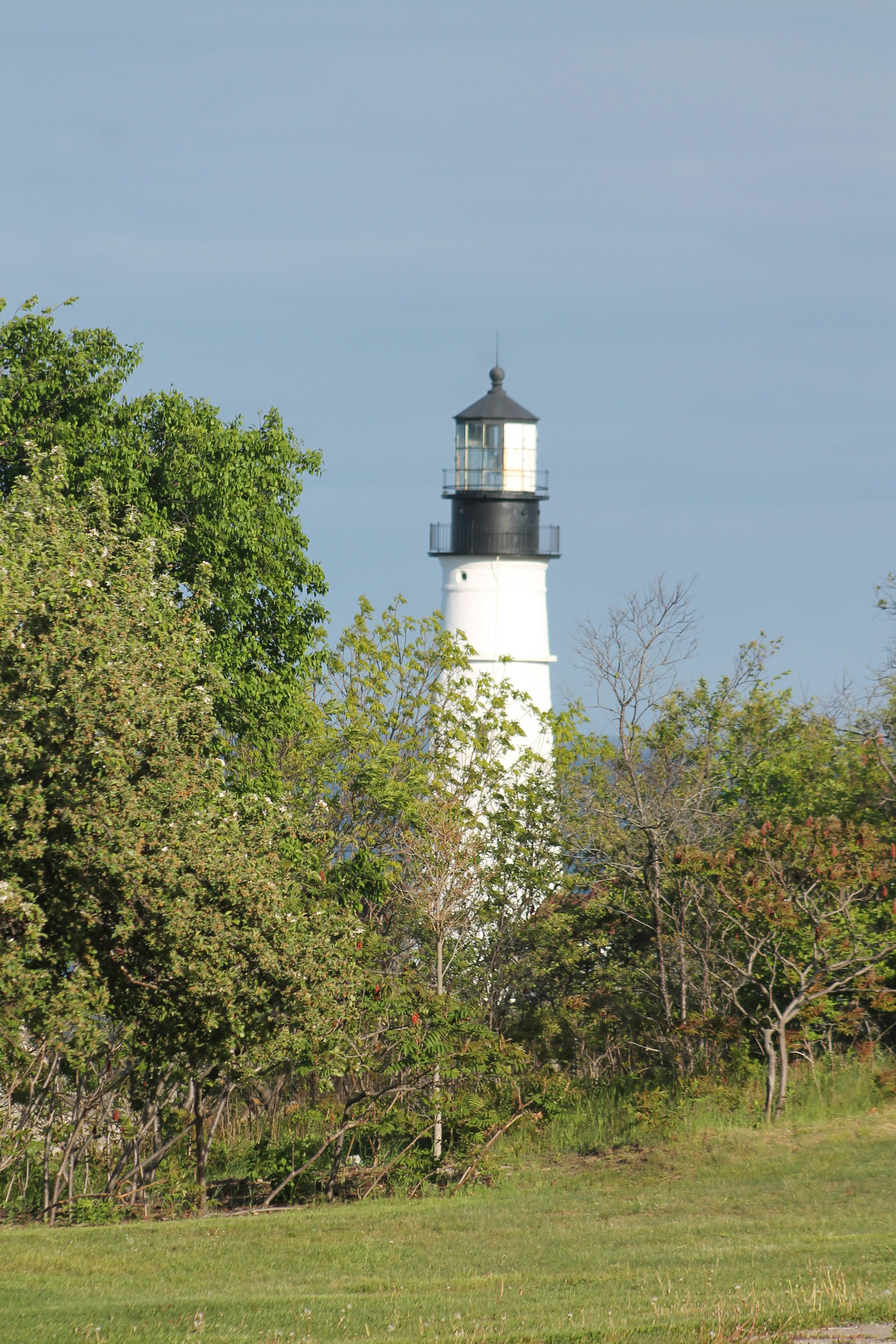 Lighthouse Rising Beyond the Green Veil