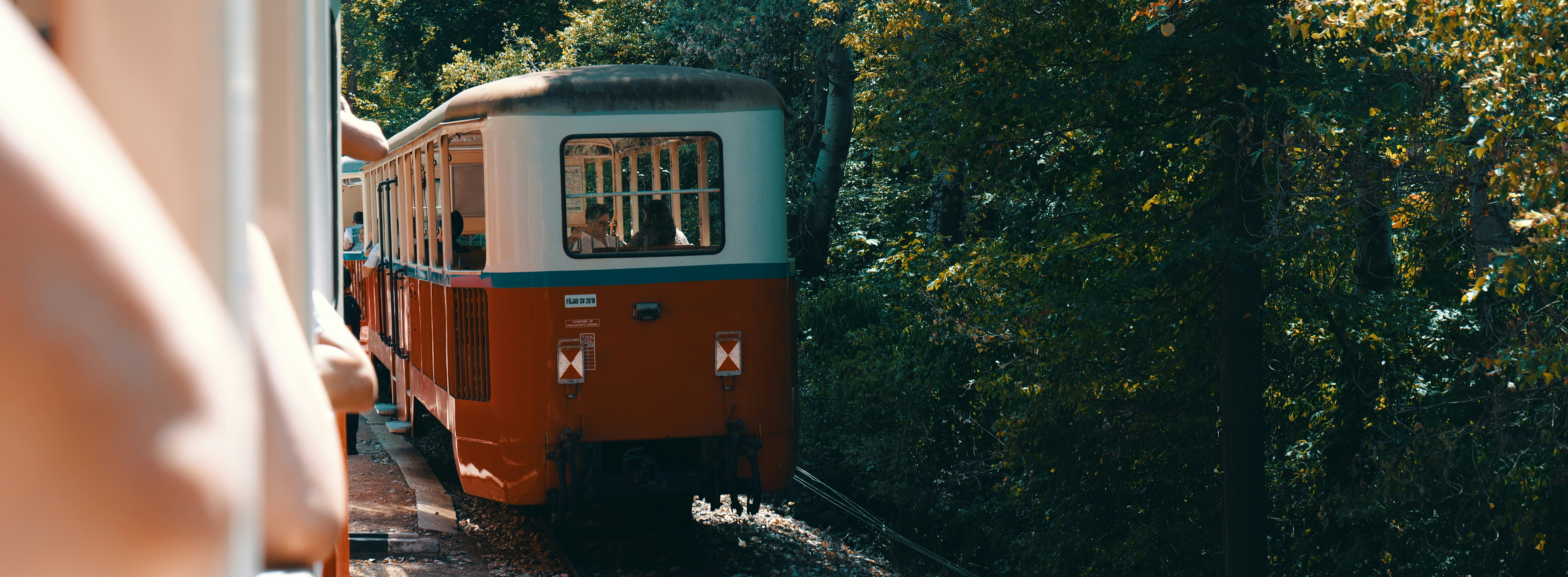 Train on the Curve: A Quiet Moment by the Tracks
