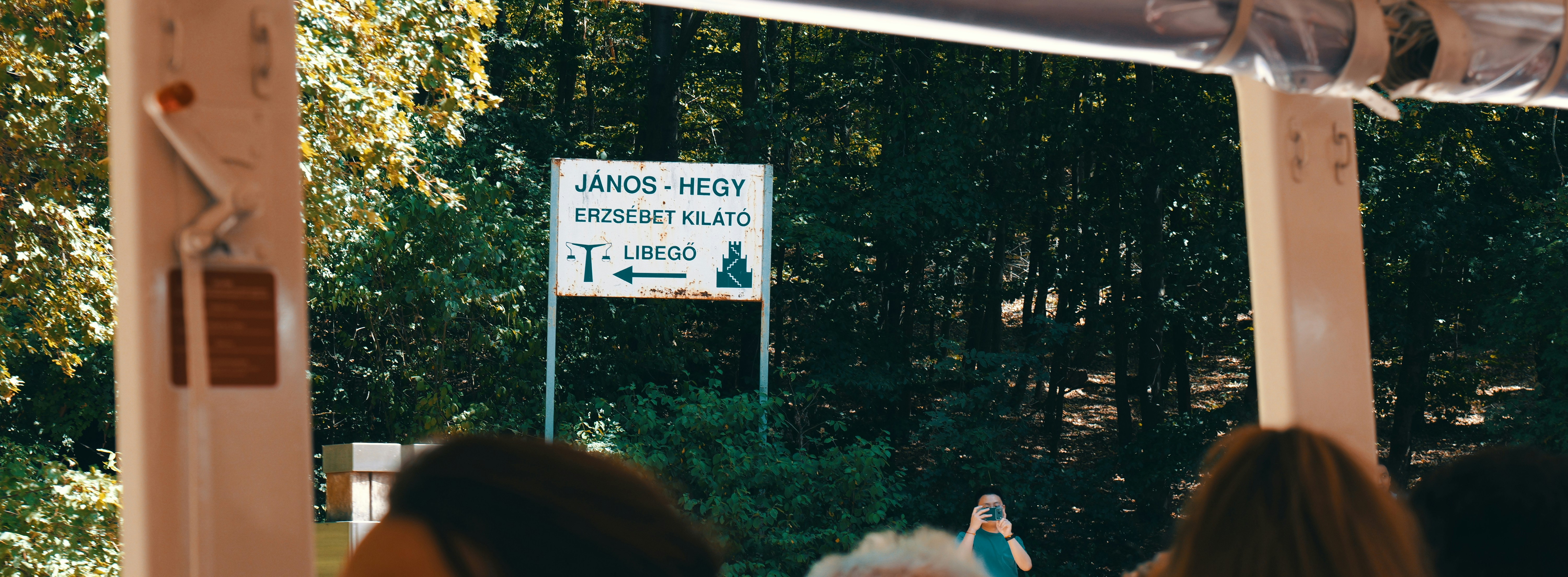 Forest Tunnel View: Signpost in a Sunny Clearing Framed by Wooden Beams