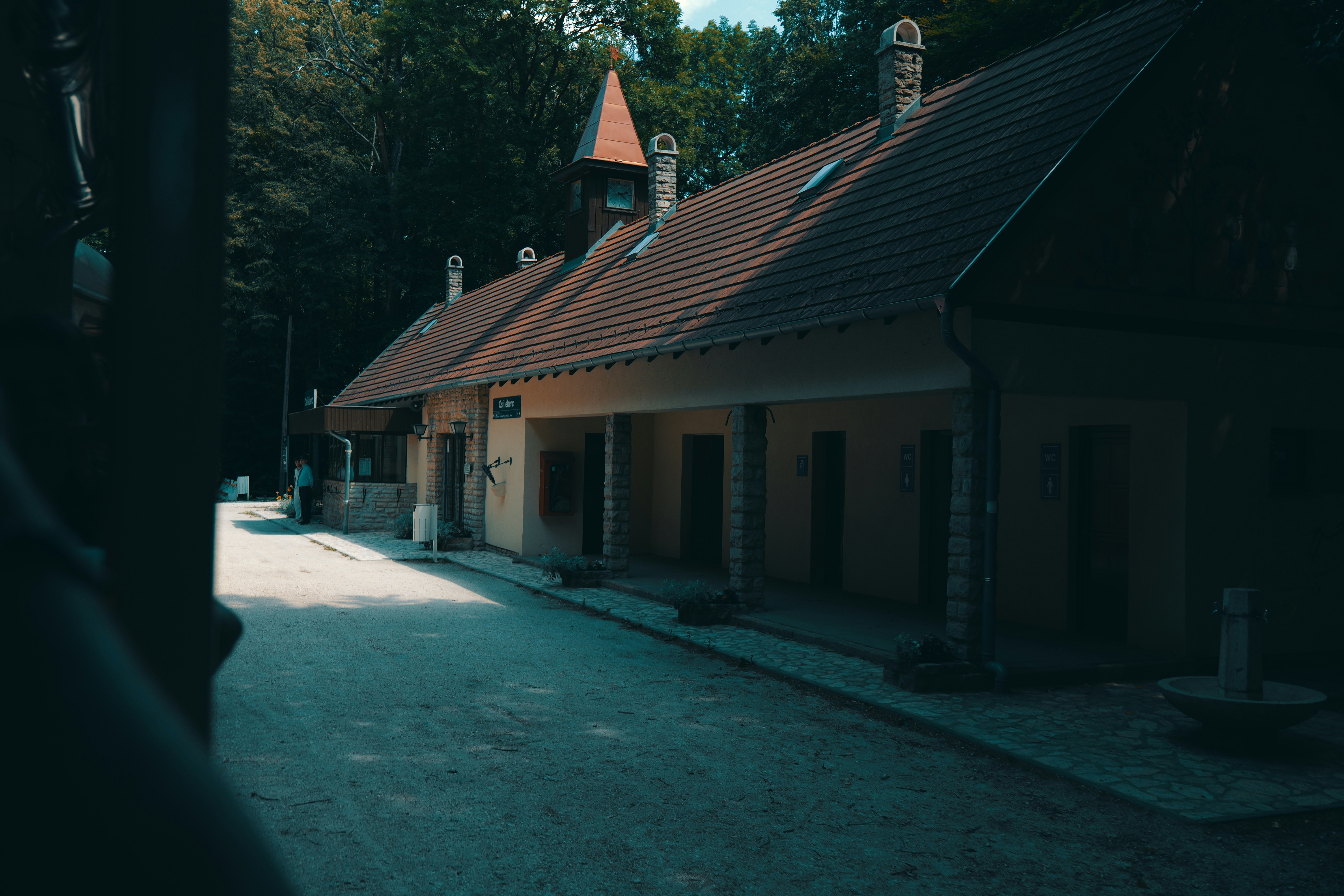 Quiet Corridor of Dormer Roofs: Evening Light on a Tree-Lined Walkway