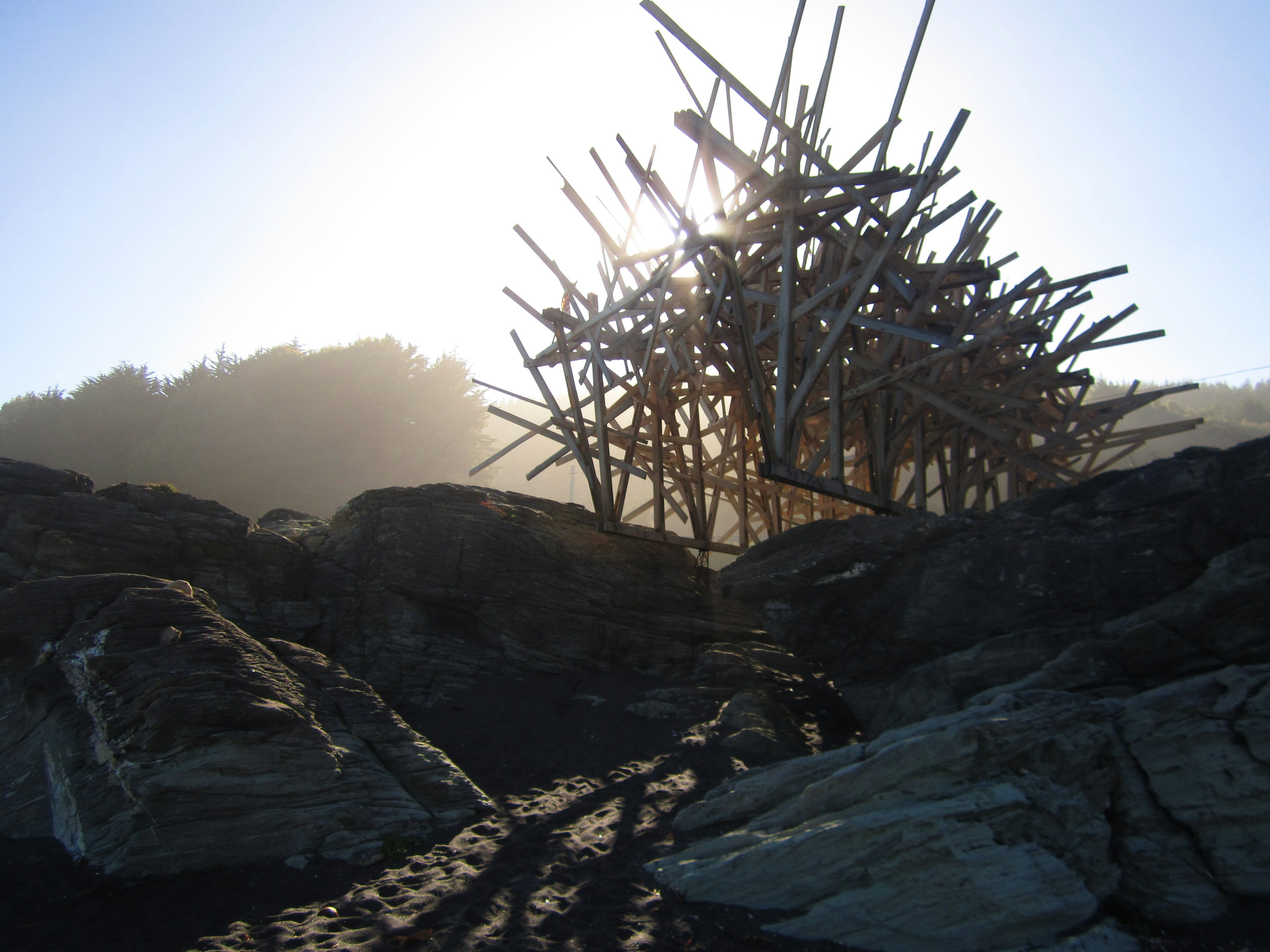 Sunlit Spine: Wooden Crest Emerges from Rugged Shoreline