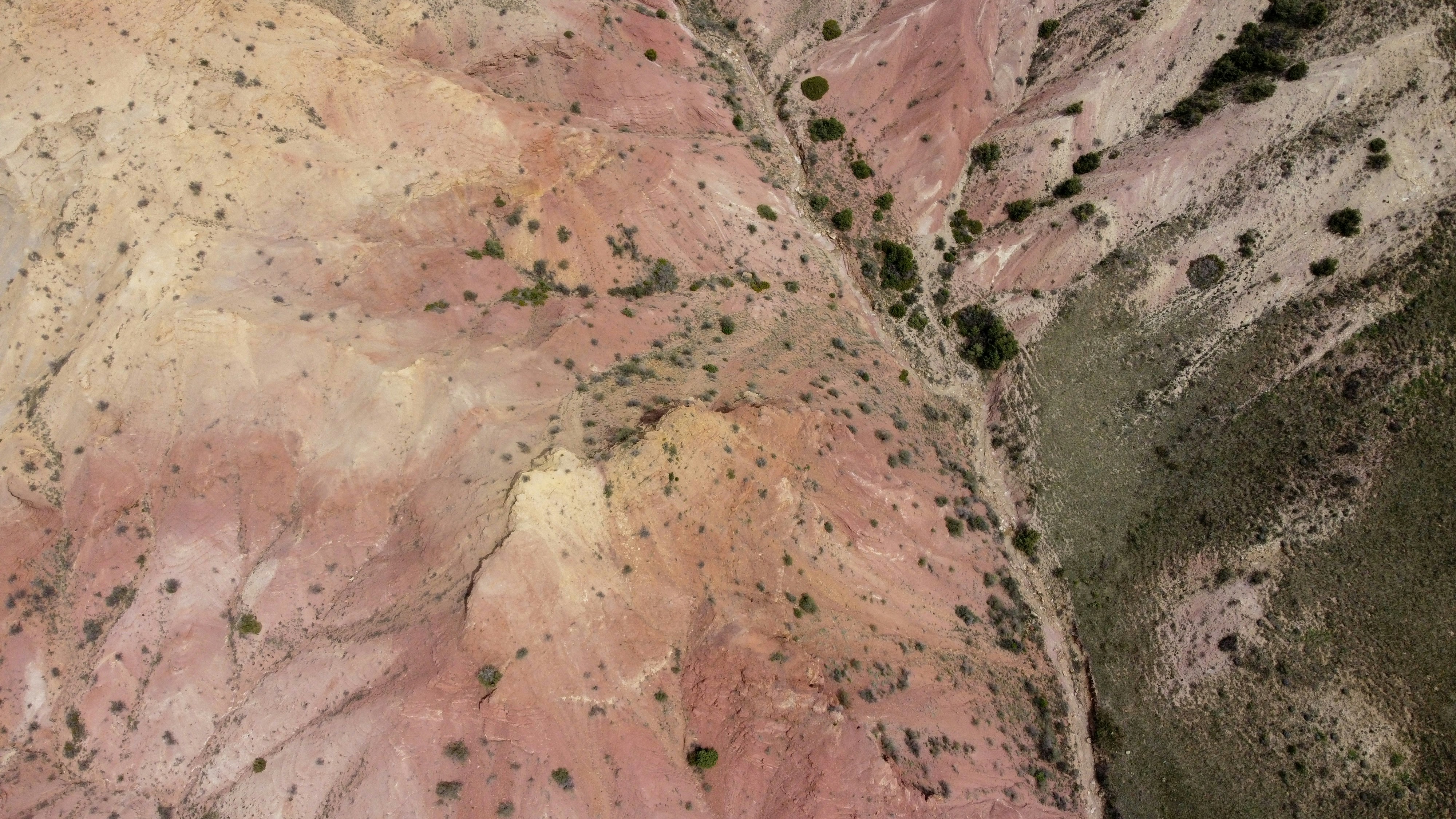 Contours of Sedimentary Memory: Painted Hills in Desert Light