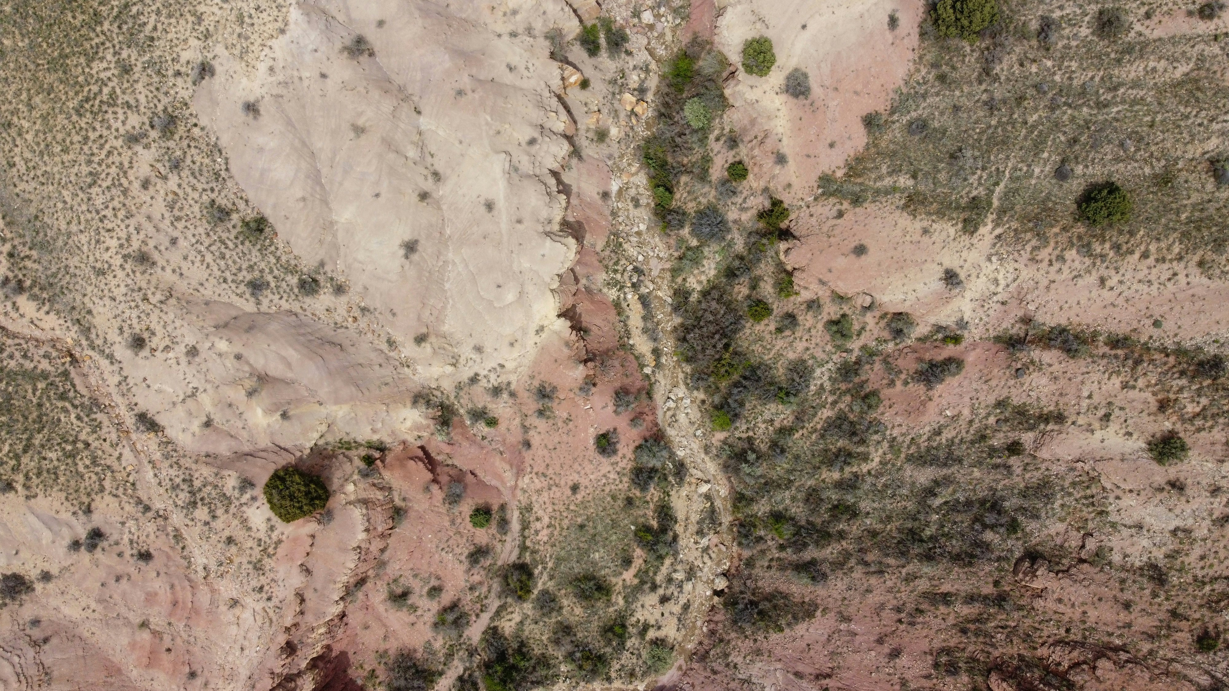 Desert labyrinth: a wind-carved canyon snaking through pink and ochre strata