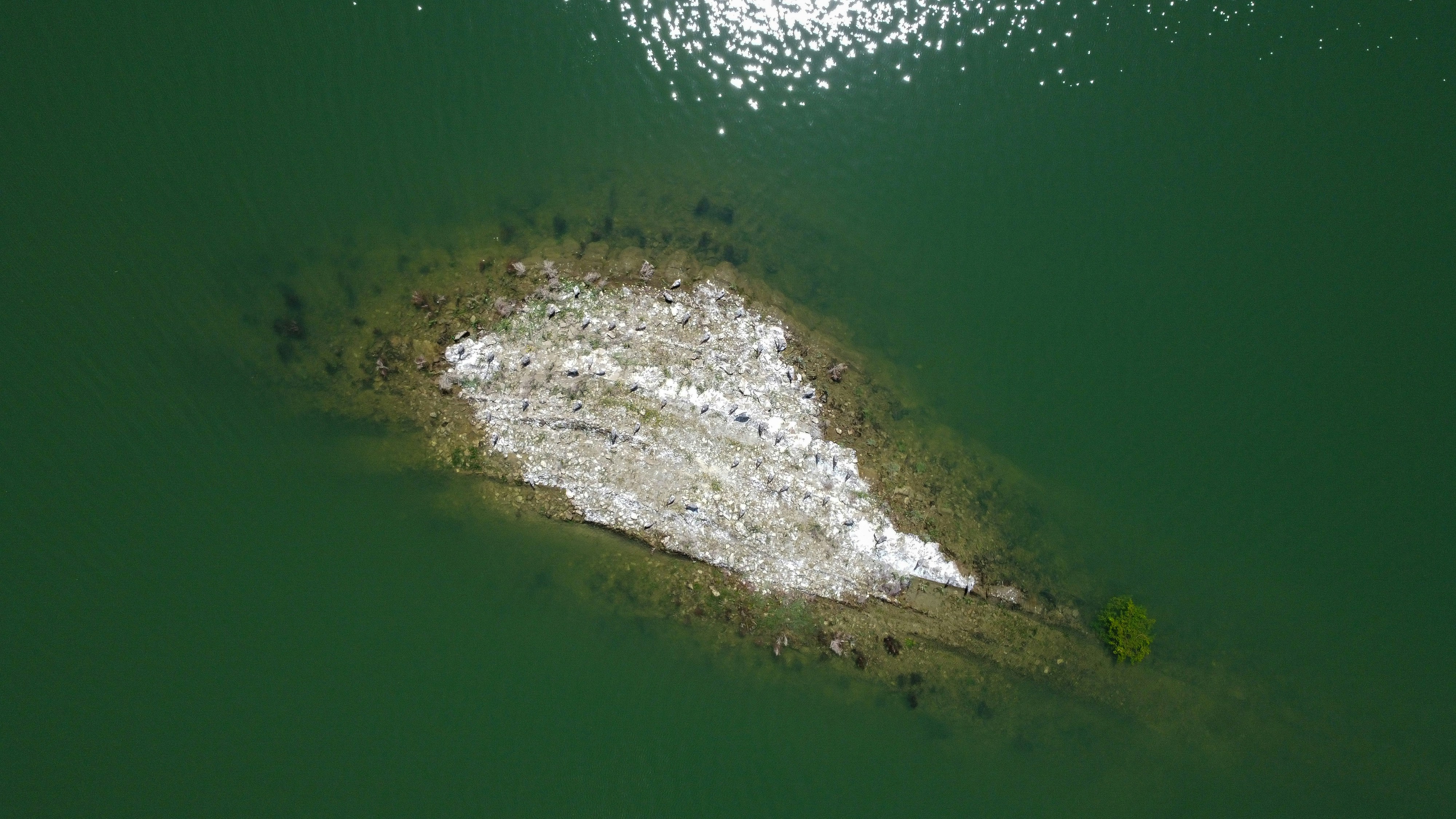 Isolated Sandbar in Emerald Quiet