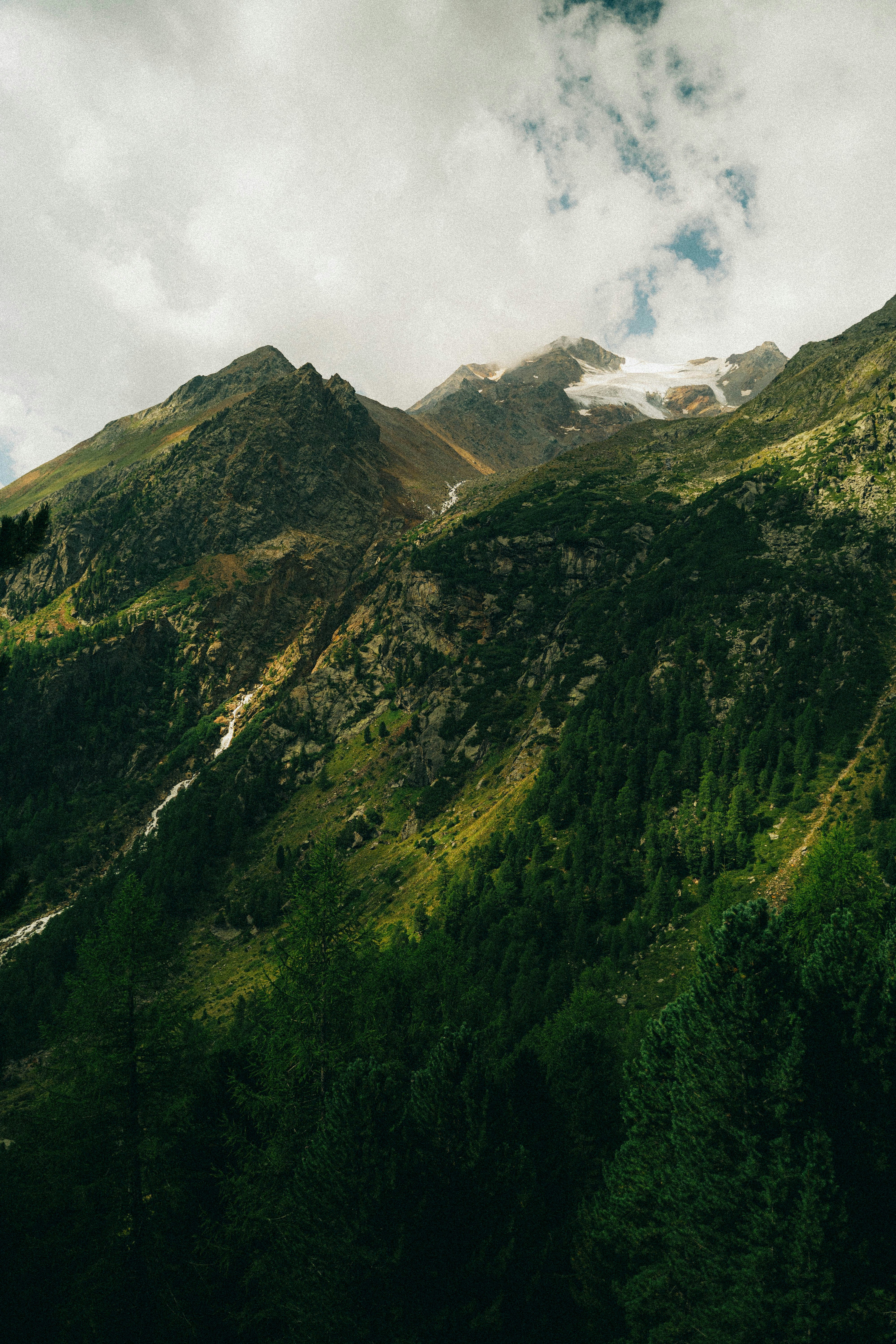 Ridge Lines Beneath a Skieled Crest