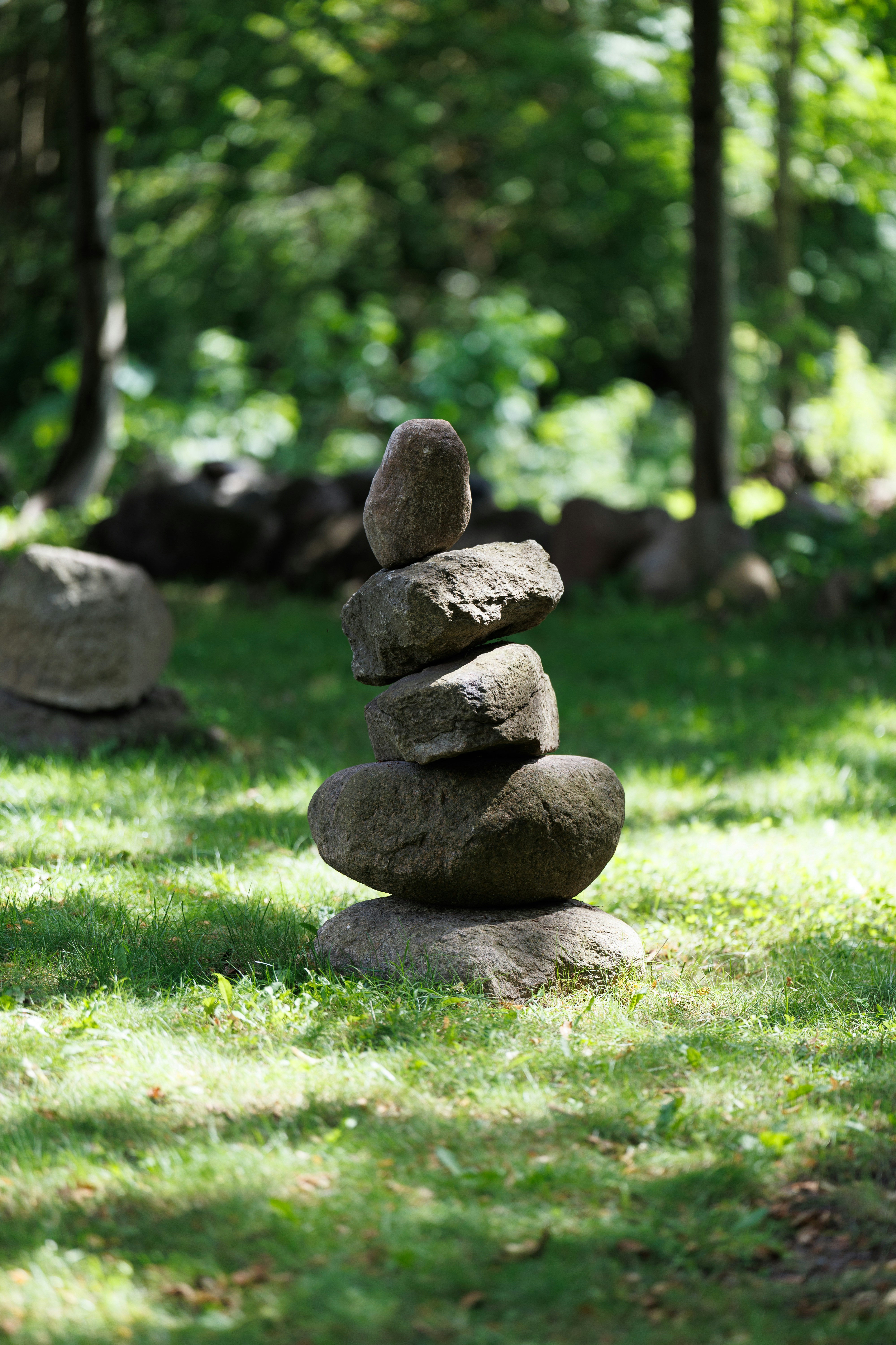 Balanced Pebble Stack in a Sunlit Clearing
