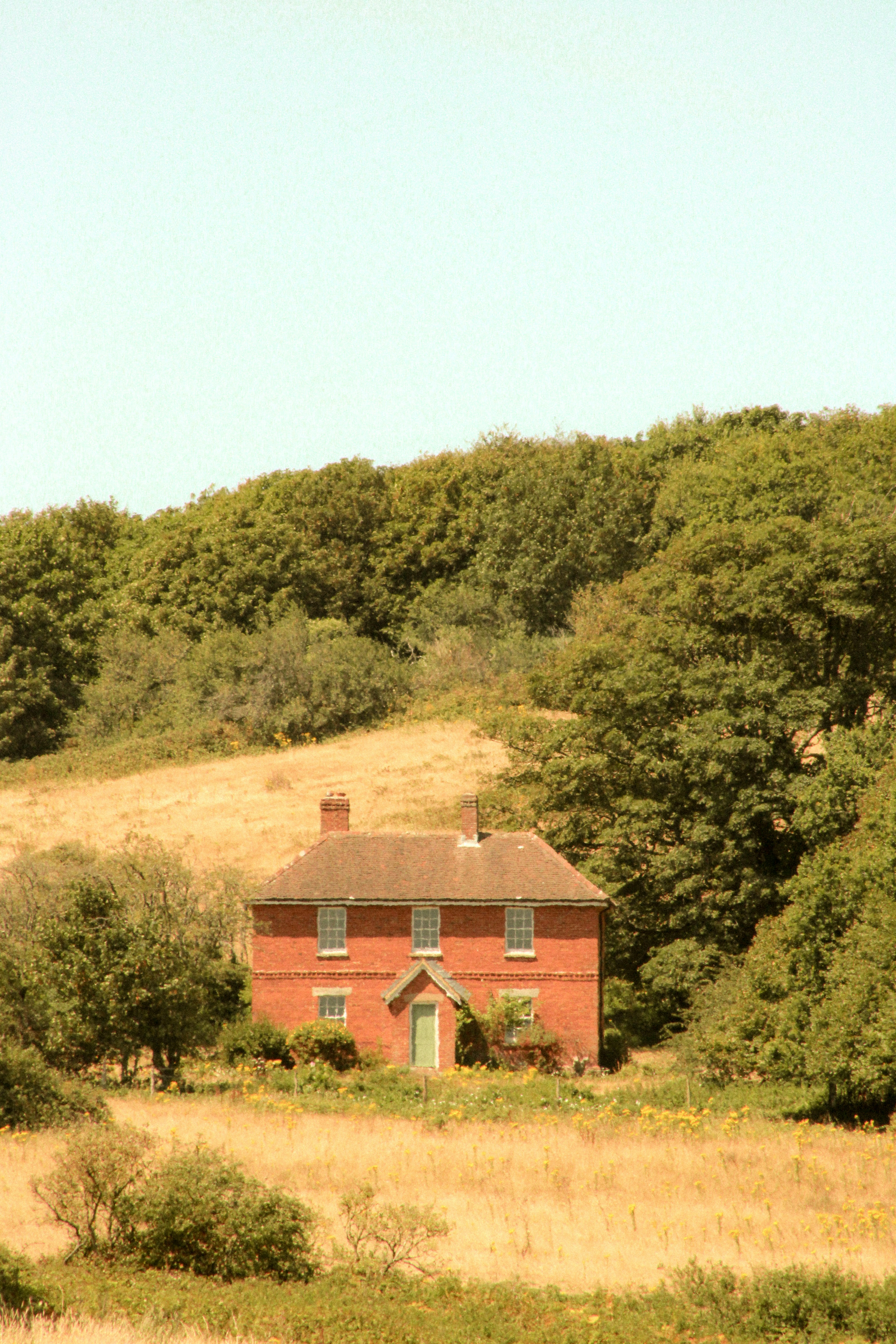 Red Brick House in Golden Field